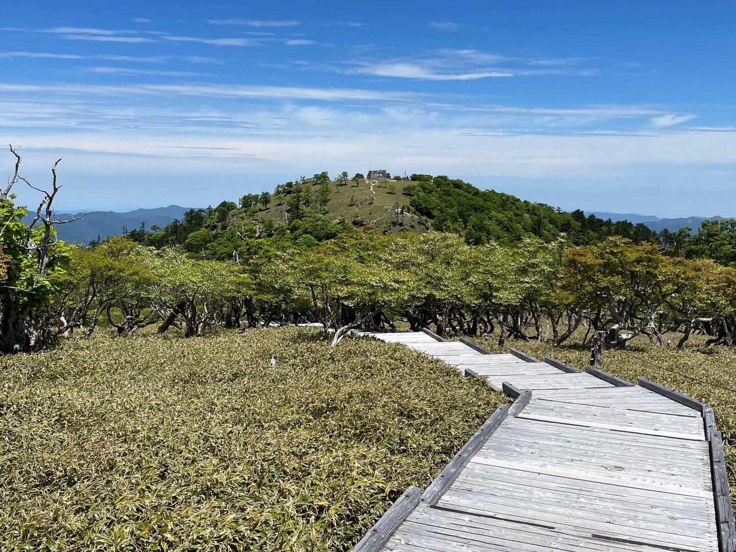 大台ヶ原山（日出ヶ岳） / honensanさんの大台ヶ原山・日出ヶ岳・大杉谷の活動データ | YAMAP / ヤマップ