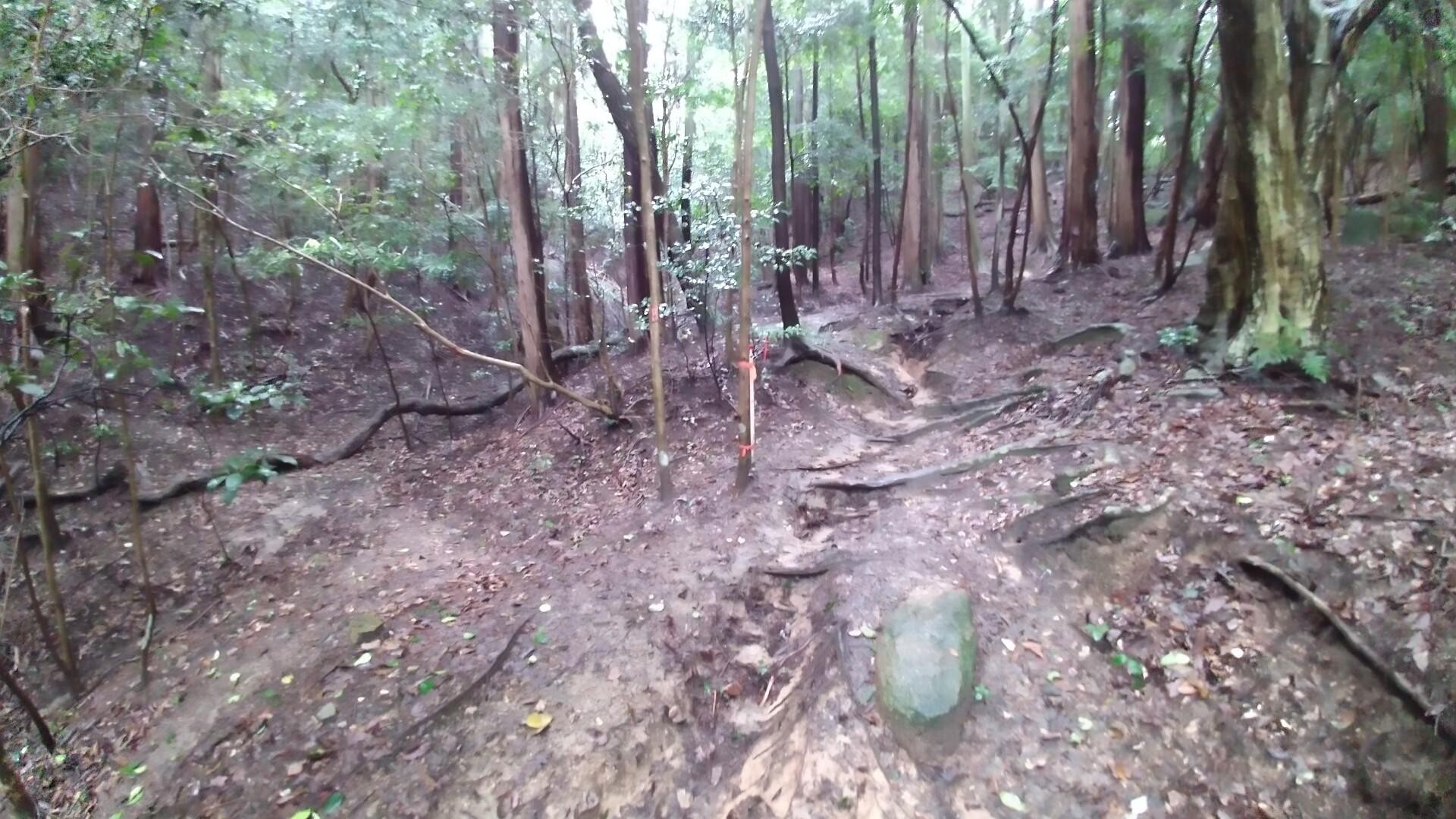 ひろさんの投稿したフィールドメモ | YAMAP / ヤマップ