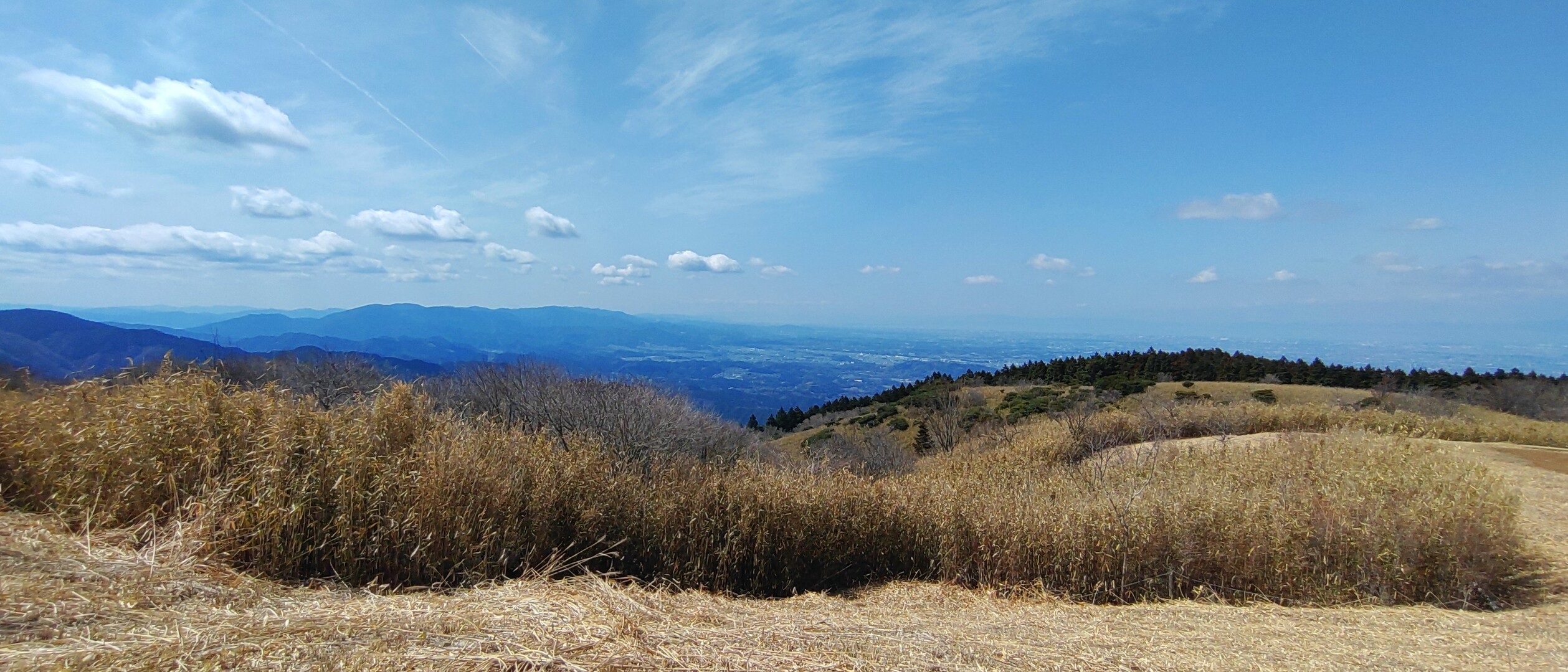 大和葛城山 / yshrtrdさんの金剛山・二上山・大和葛城山の活動データ | YAMAP / ヤマップ