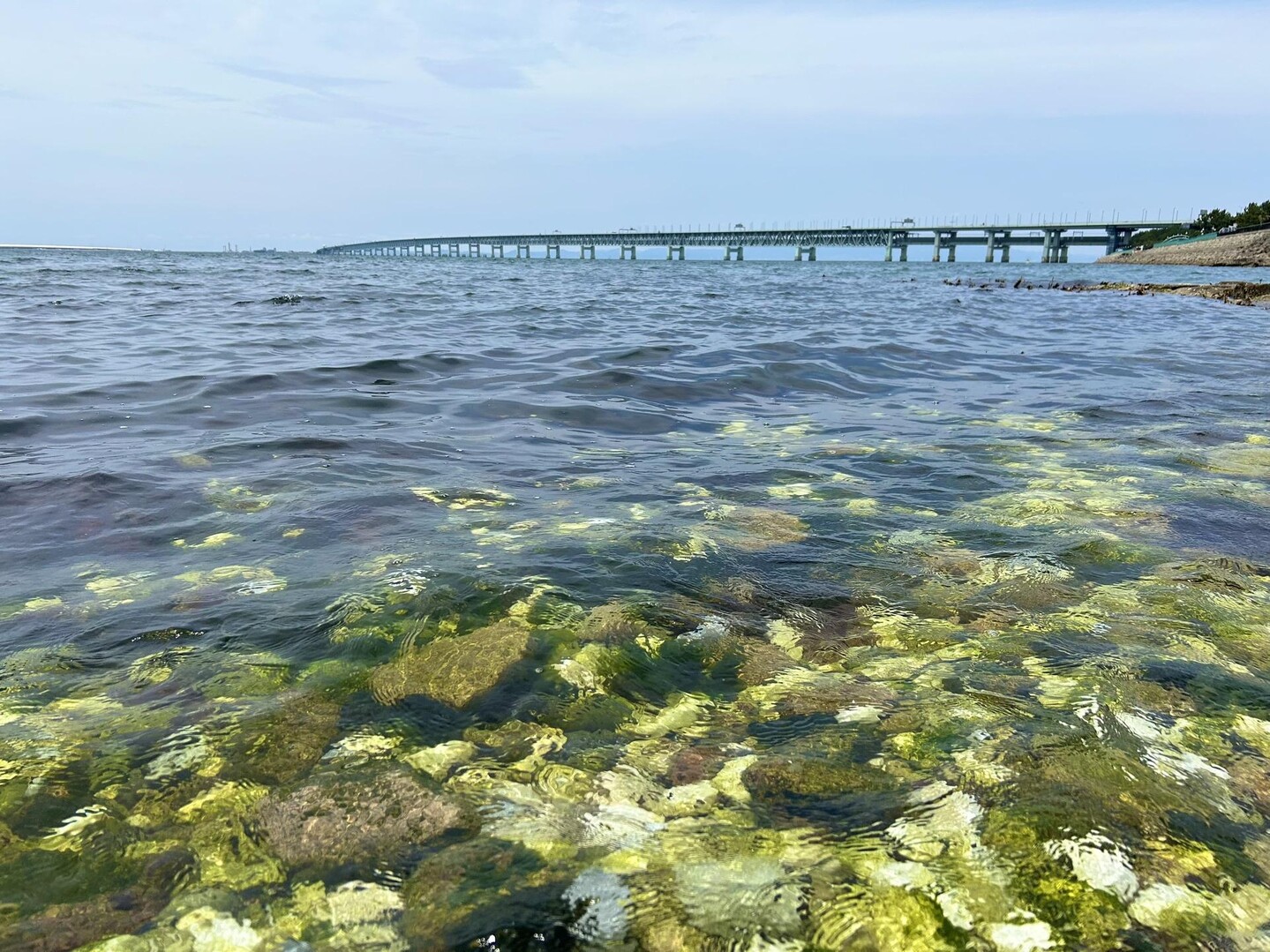 ZERO AMEYAMA 雨山 / わたうなぎさんの雨山の活動データ | YAMAP / ヤマップ