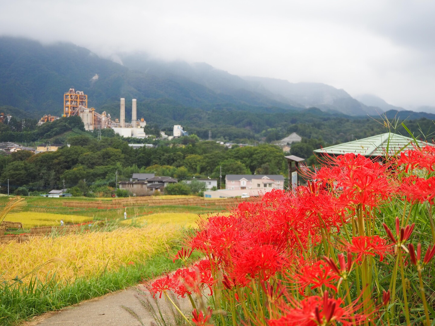 日向山～寺坂棚田 / emuさんの丸山の活動データ | YAMAP / ヤマップ