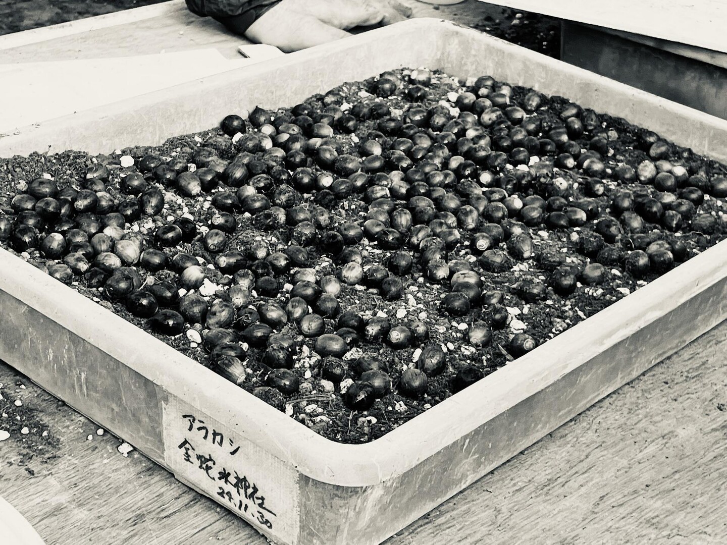 【鎮守の森の教室】 きょうは東京駅からバ... / Ok-836さんのモーメント | YAMAP / ヤマップ