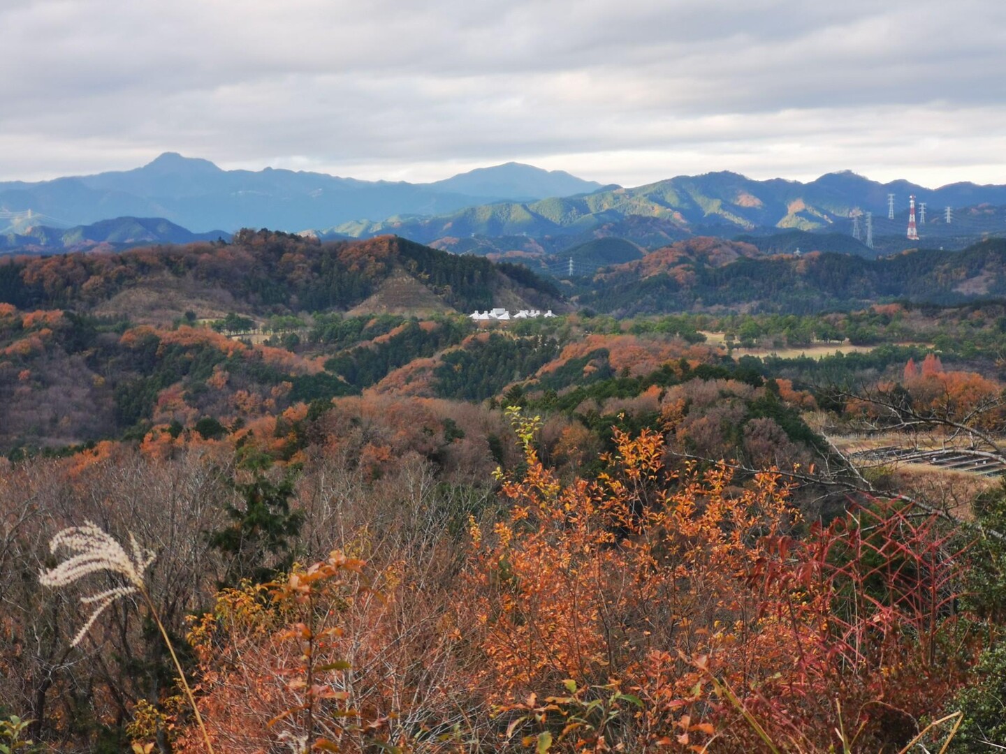 飯能アルプス / Sarahさんの天覧山・多峯主山・天覚山の活動データ | YAMAP / ヤマップ