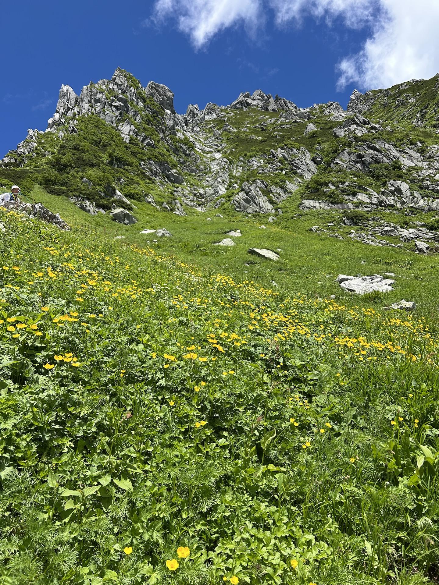 ベストシーズン木曽駒ヶ岳で雷鳥にも会えた♪ / れいこさんの木曽駒ヶ岳・空木岳・越百山の活動データ | YAMAP / ヤマップ