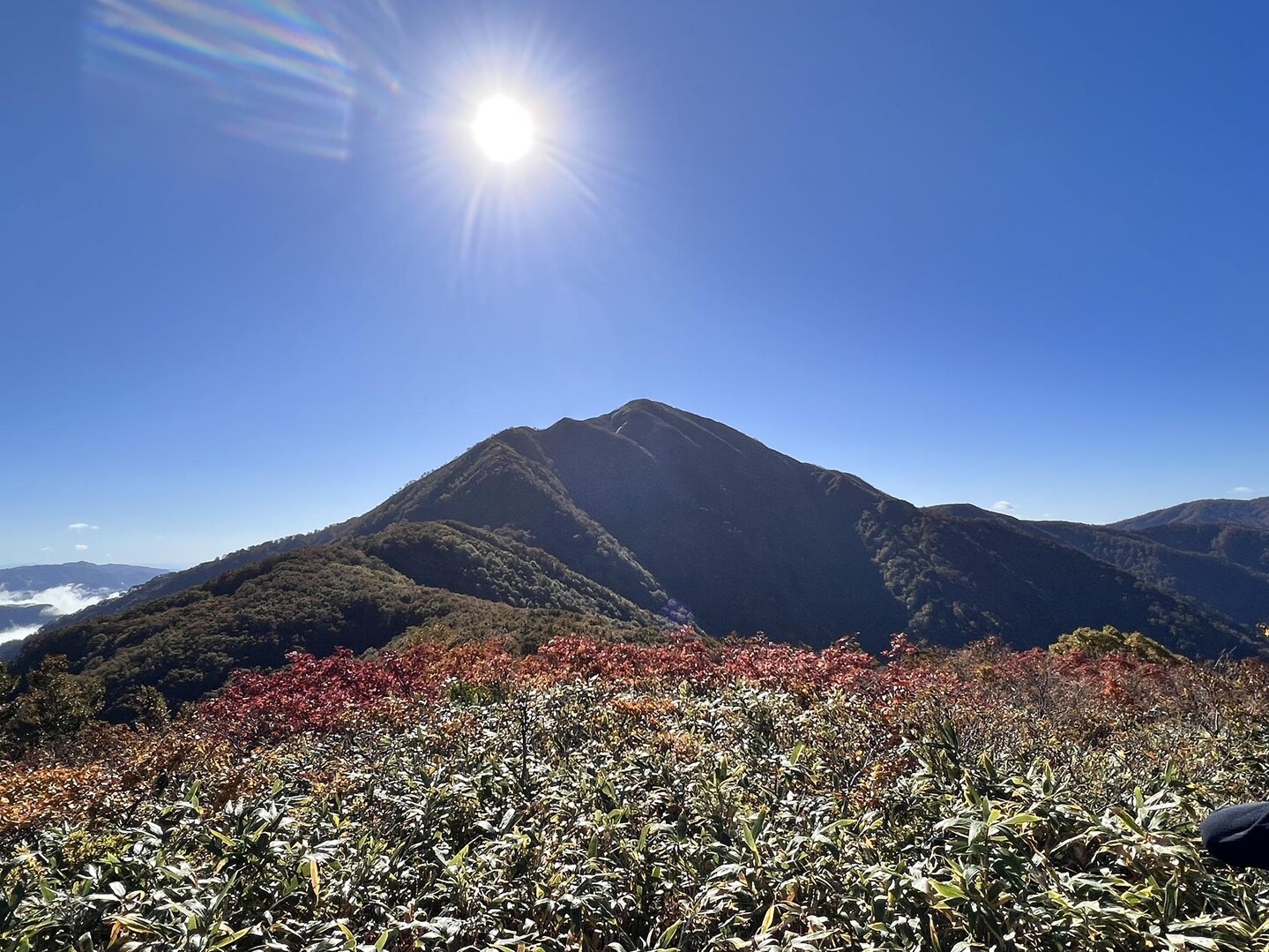 紅葉🍁荒島岳(中出〜勝原) / たけのこ zi ziさんの荒島岳の活動データ | YAMAP / ヤマップ