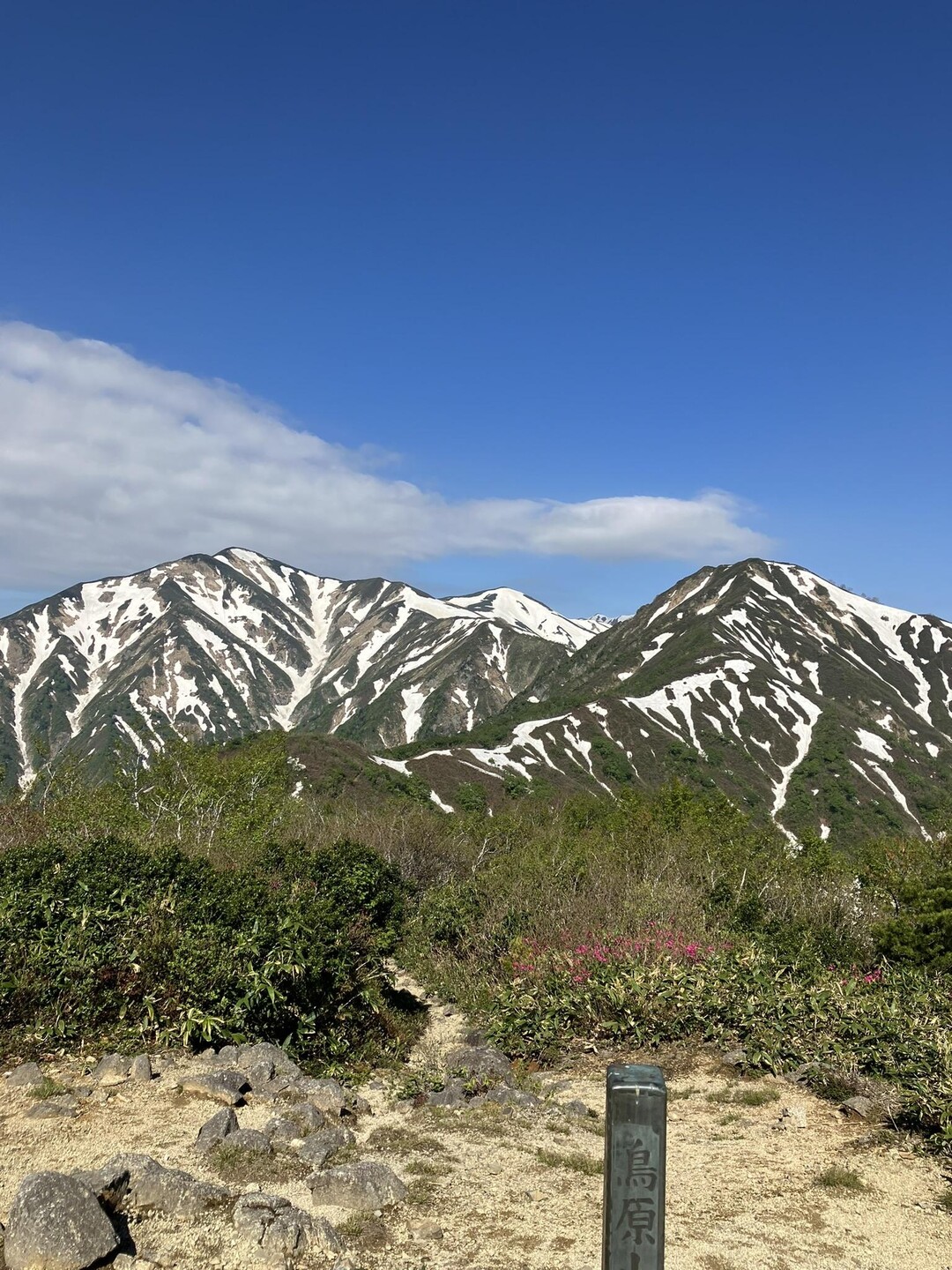 大朝日岳〜鳥原古寺周回 / TAJIさんの大朝日岳・朝日連峰・祝瓶山の活動日記 | YAMAP / ヤマップ