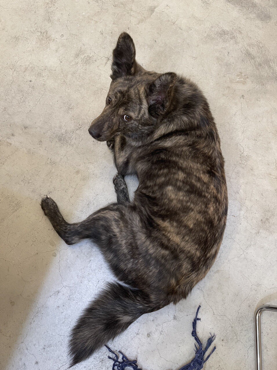 2021.01.17(日) 13:27 / mmmさんのモーメント | YAMAP / ヤマップ