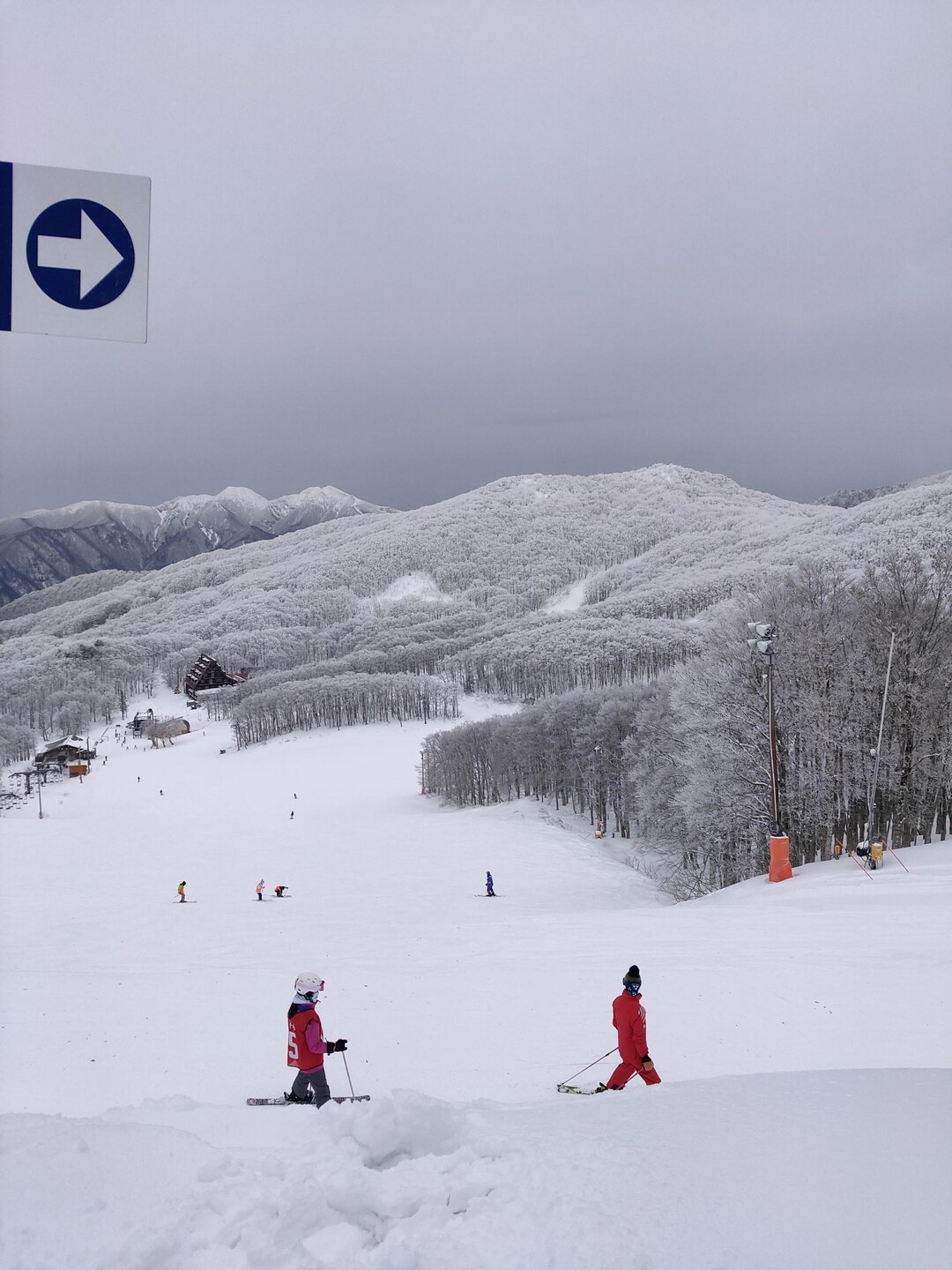 ウォーキング-2023-01-24 / kouさんのウォーキングの活動データ | YAMAP / ヤマップ