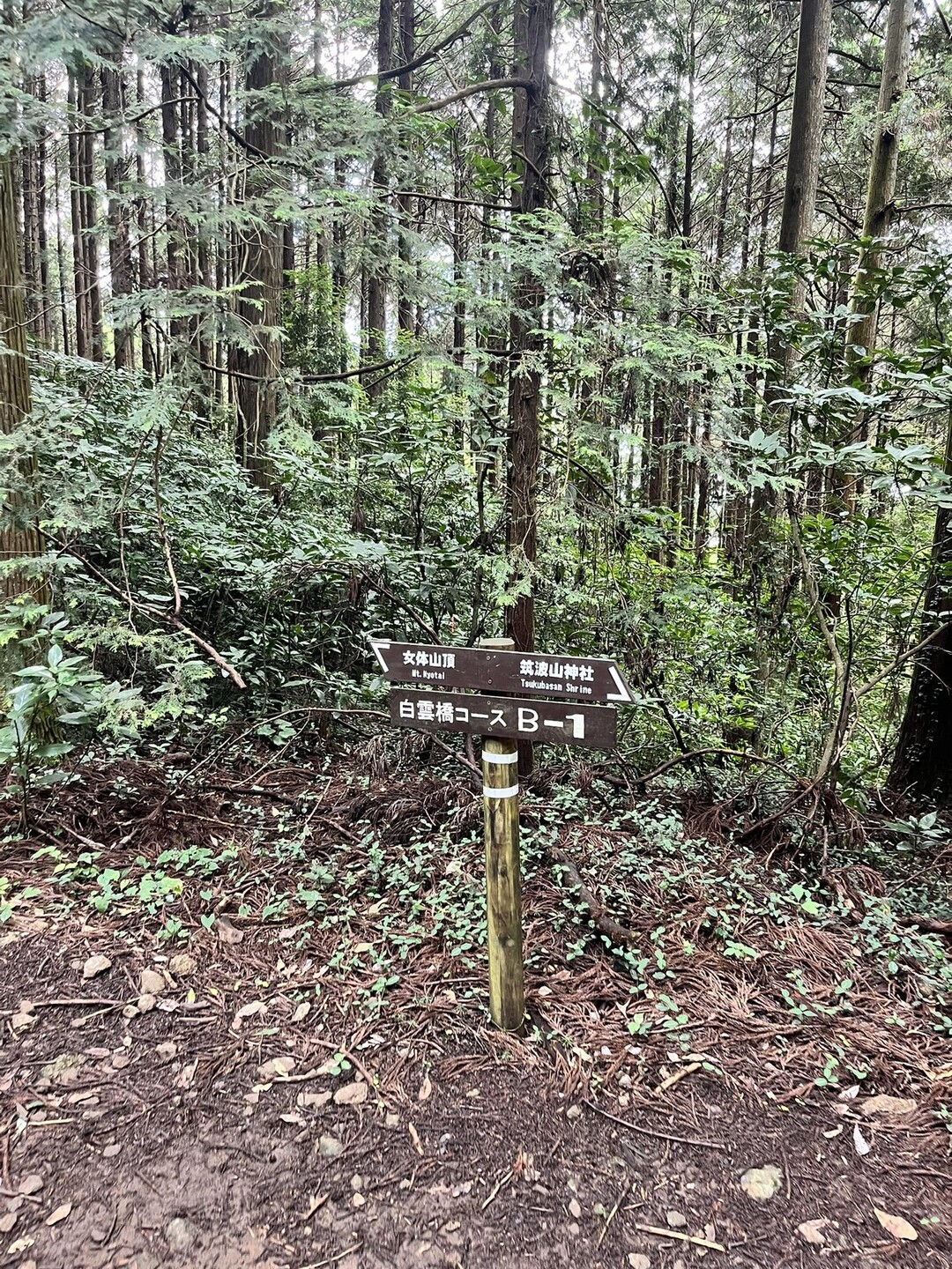 筑波山⛰️ (白雲橋コース) / Sally.Yさんのモーメント | YAMAP / ヤマップ