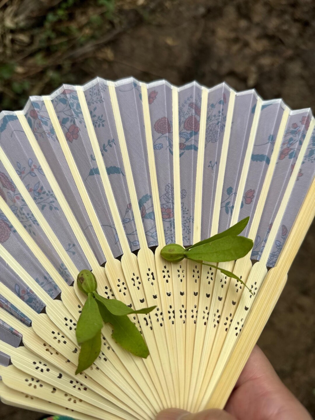 2024.10.06(日) 05:07 / まさちゃんさんのモーメント | YAMAP / ヤマップ