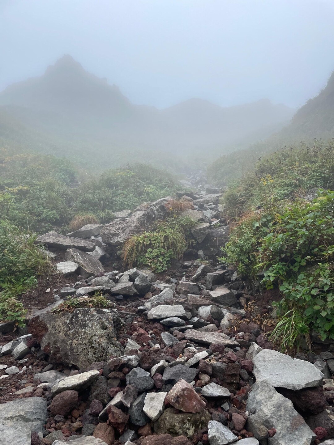 E.Jさんの投稿したフィールドメモ | YAMAP / ヤマップ