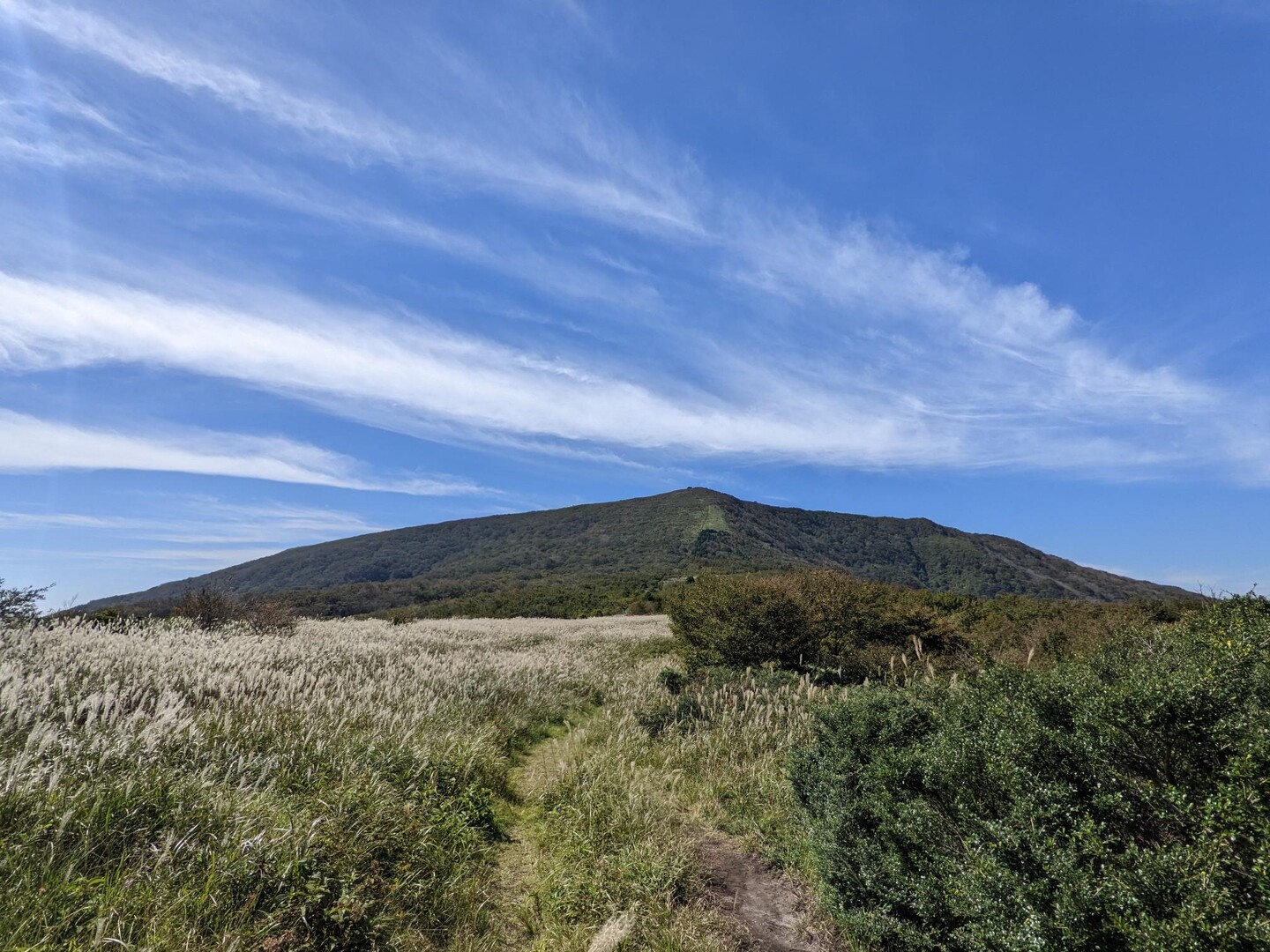 比婆古道〜烏帽子山〜吾妻山 / jonasanさんの比婆山・立烏帽子山・吾妻山の活動データ | YAMAP / ヤマップ