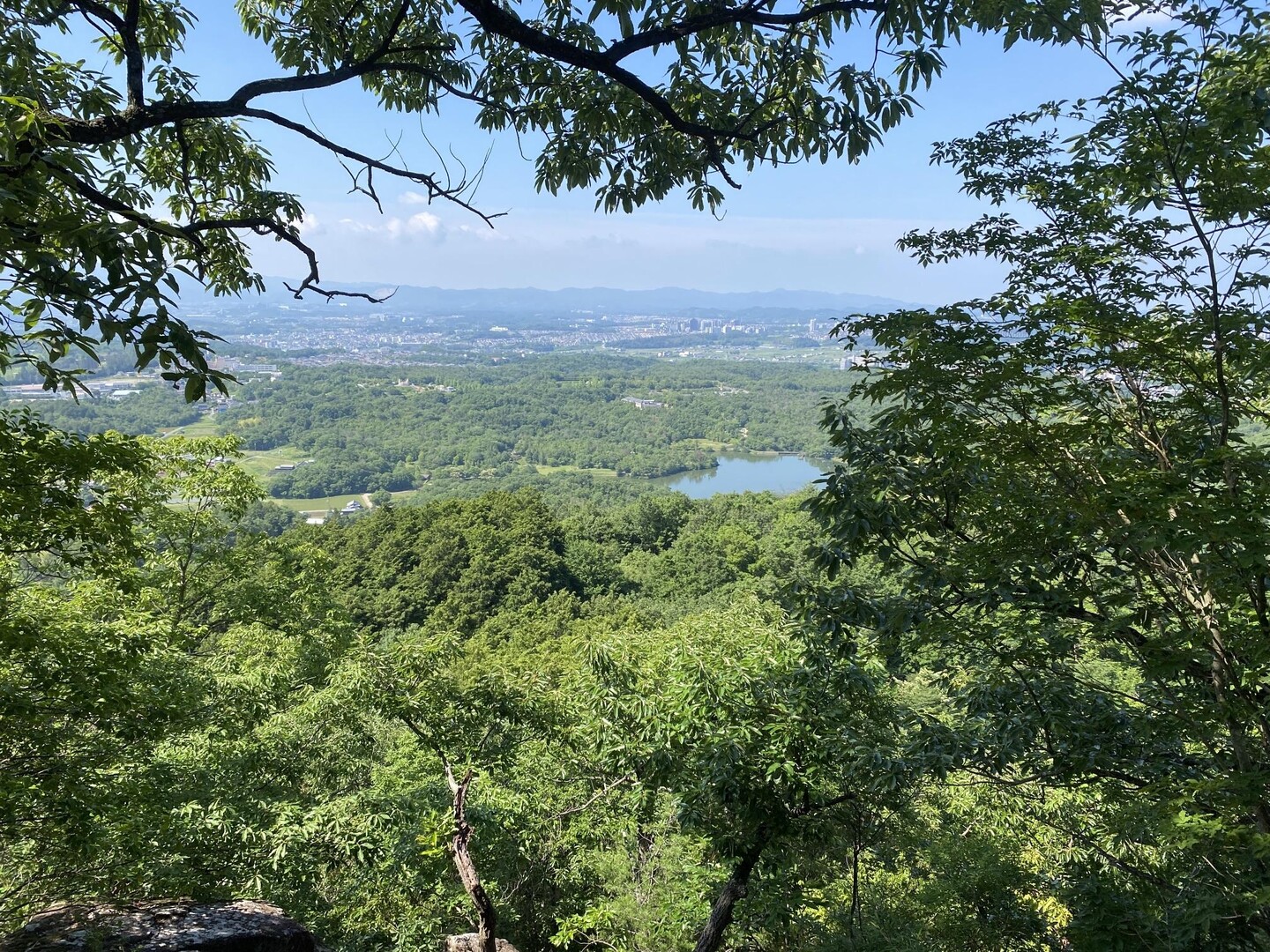 有馬富士-2023-06-17 / ポチ（旧HN：ぽややん）さんの有馬富士の活動データ | YAMAP / ヤマップ