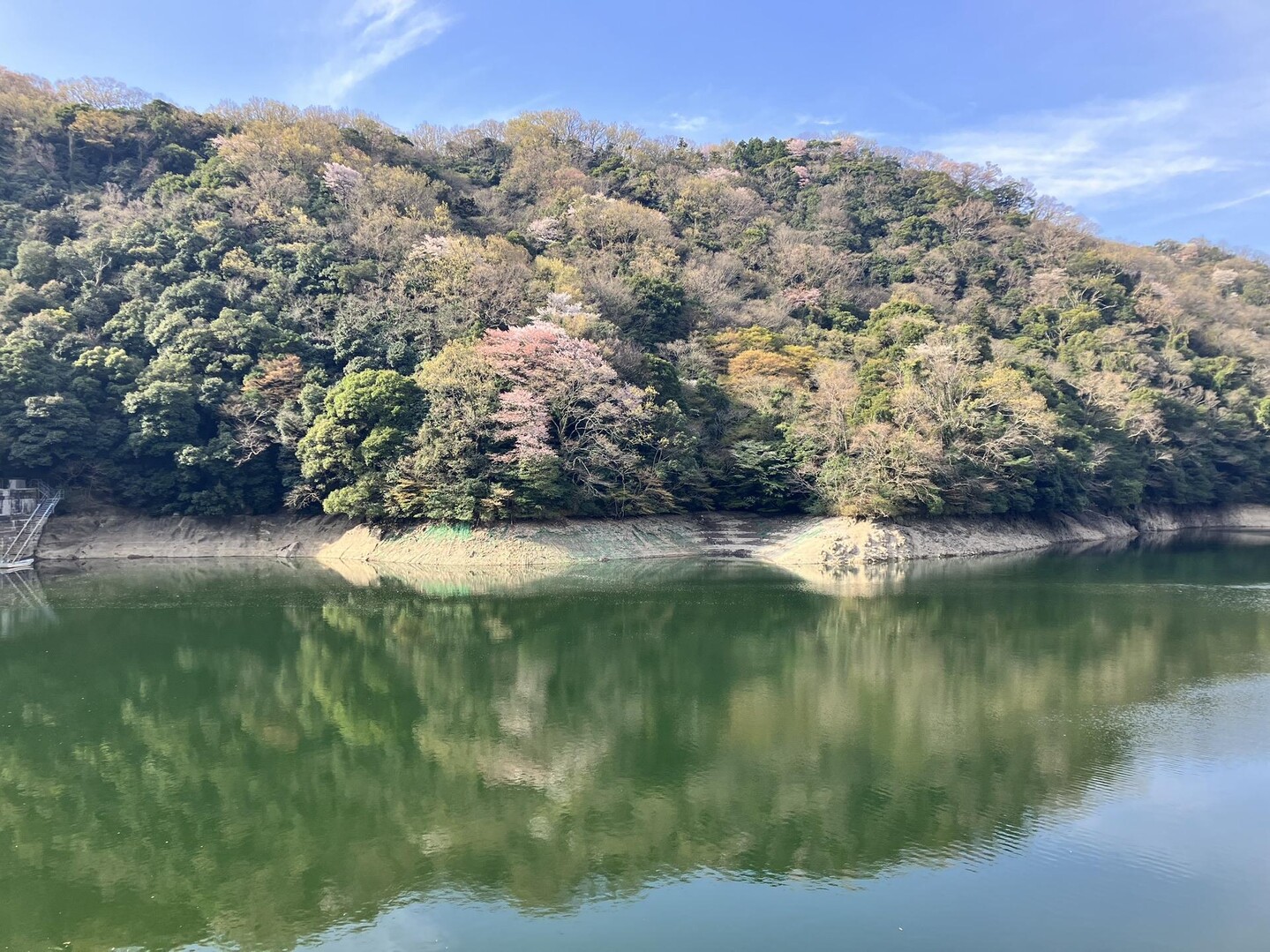 アサカツ - 摩耶山 / KIYAtさんの六甲山・長峰山・摩耶山の活動データ | YAMAP / ヤマップ