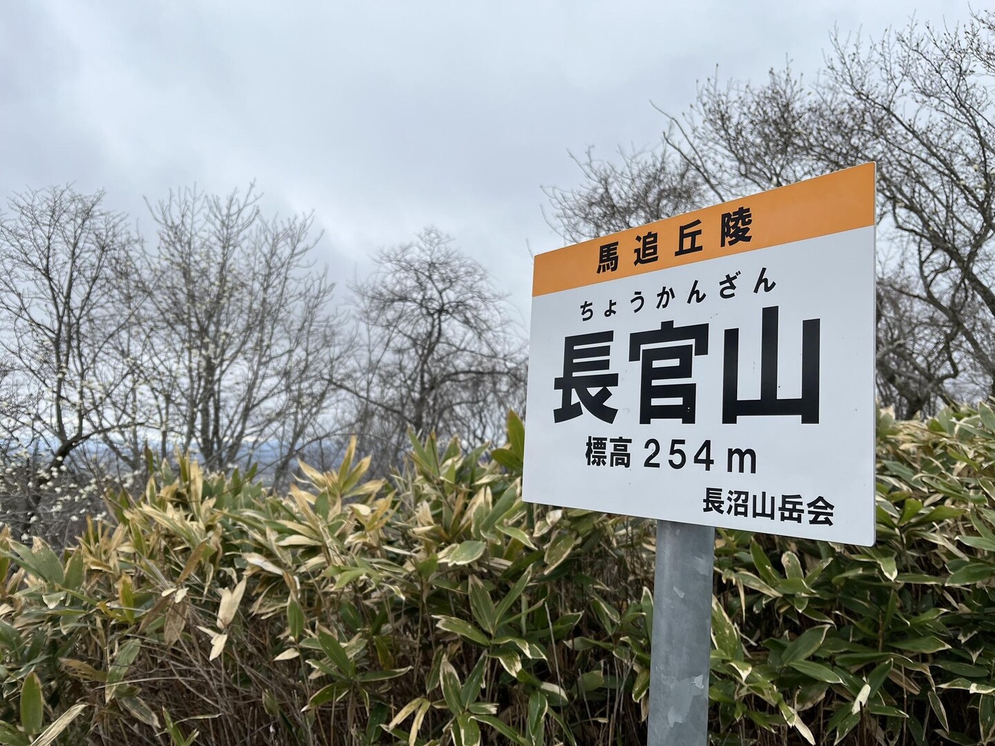 瀞台（馬追山）・長官山 2024.4.20 / J’Na•••5さんの馬追丘陵・長官山・瀞台（馬追山）の活動データ | YAMAP / ヤマップ