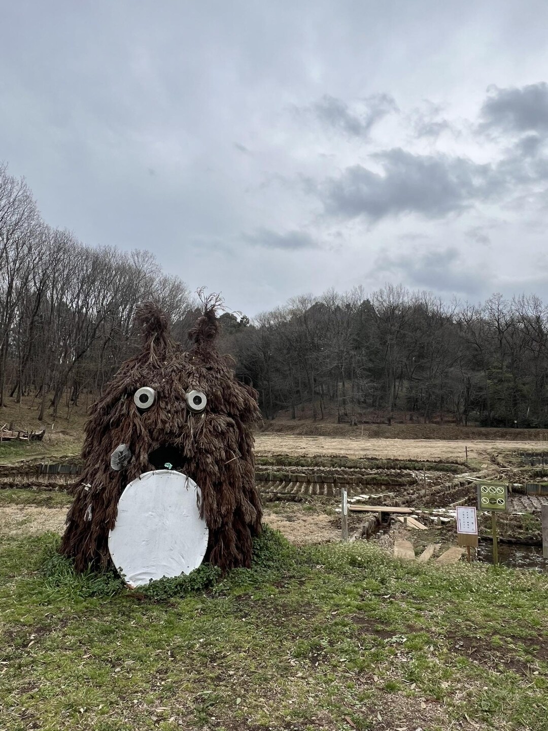 Gelﾄﾗﾌﾞｰｺお試し👟👟狭山トンボの湿地、大谷戸湿地、糀谷八幡宮 / アナキンと愉快な仲間たちさんの所沢市の活動データ | YAMAP / ヤマップ