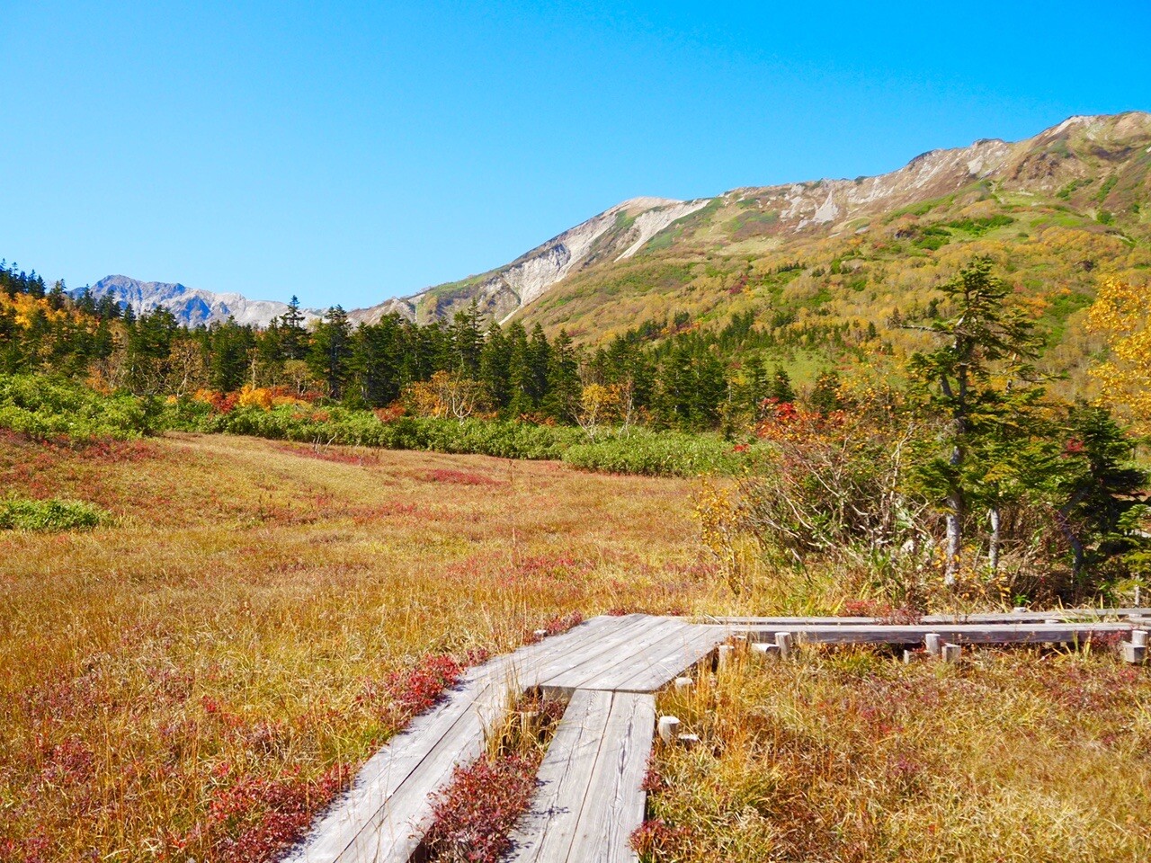 栂池自然園(八方2日目) 20211003 / あきTRさんの栂池高原スキー場の活動データ | YAMAP / ヤマップ