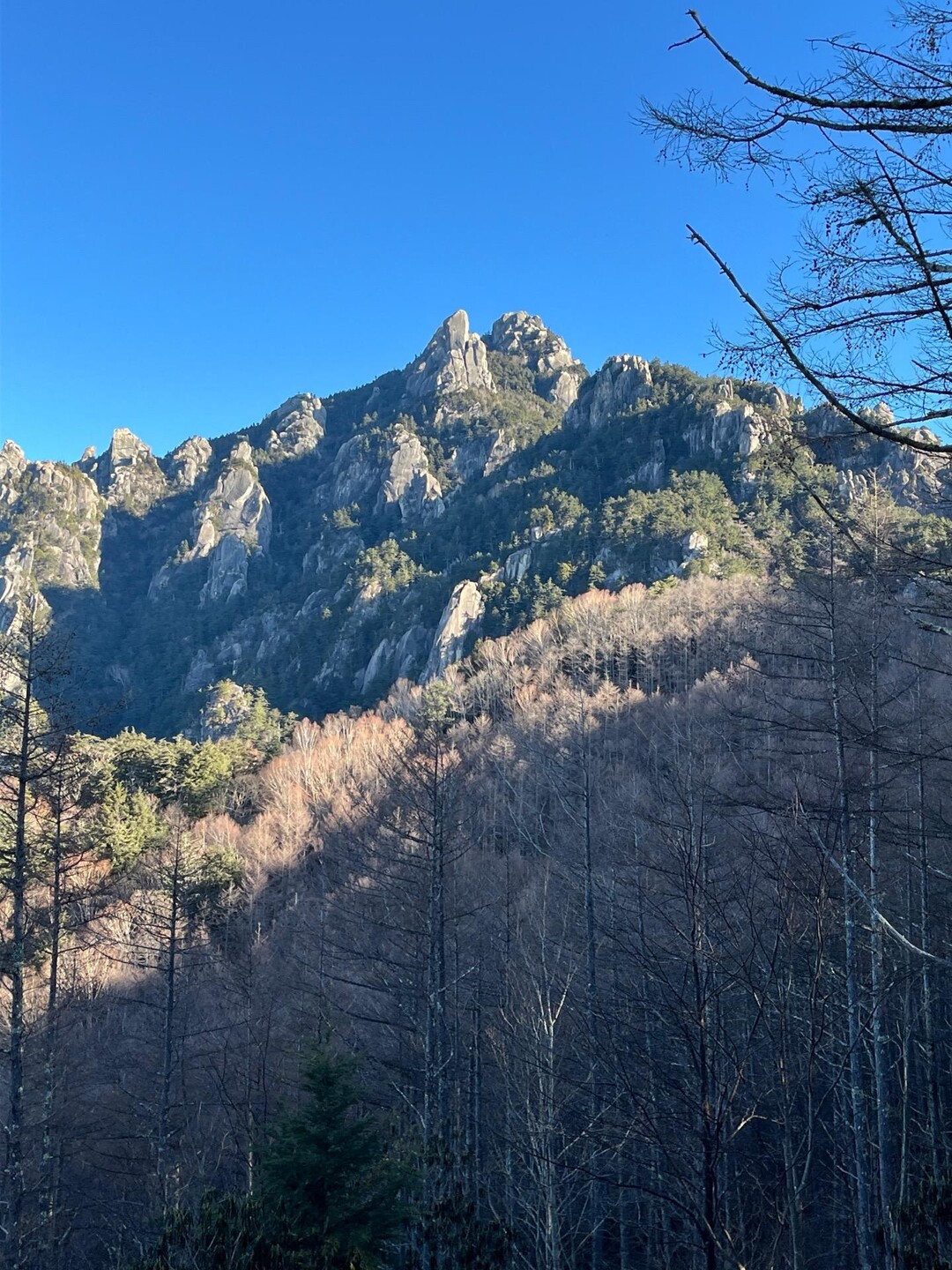 瑞牆山 / Nano Yamazukiさんの瑞牆山・金峰山の活動データ | YAMAP / ヤマップ