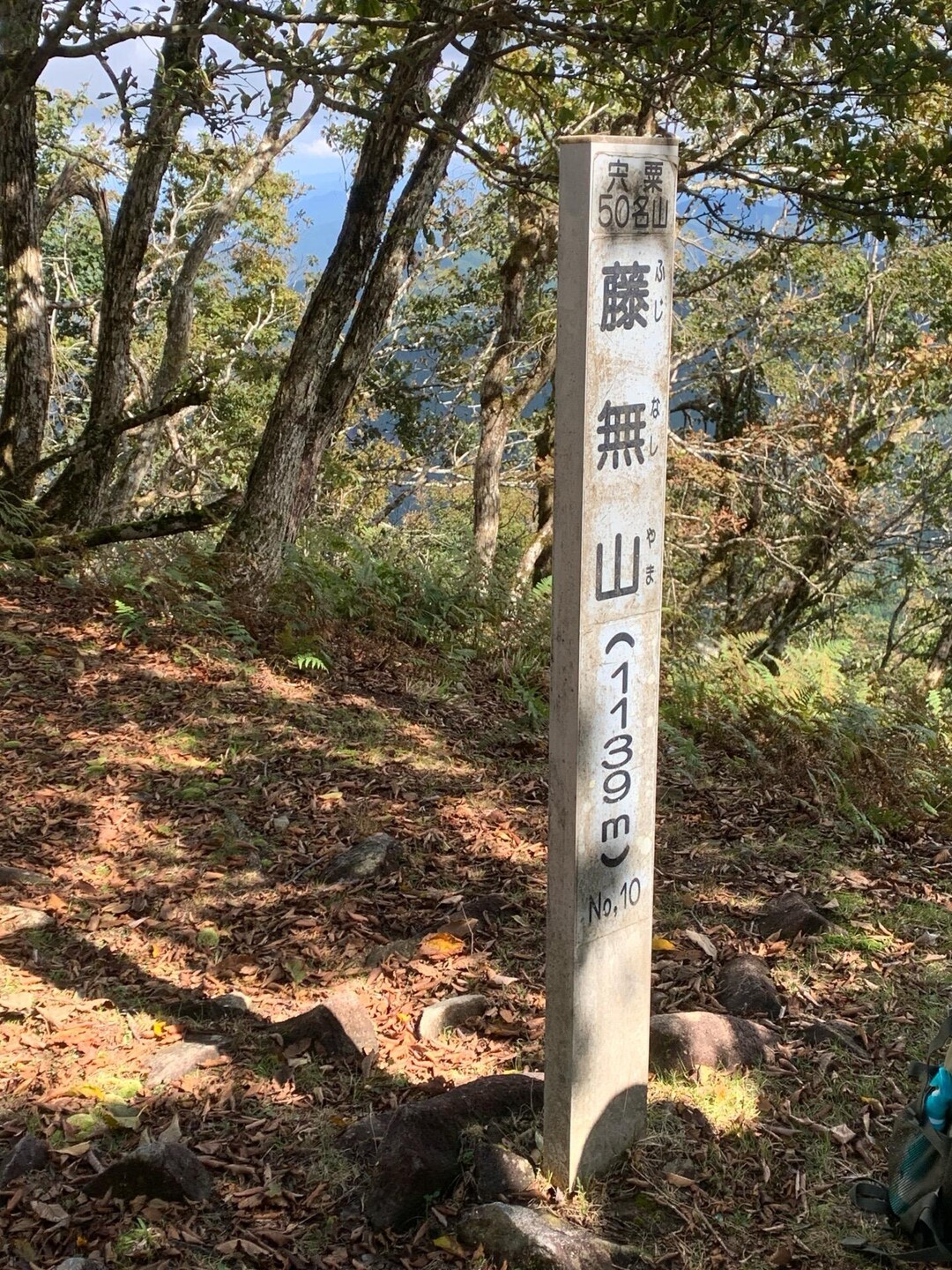 藤無山 / kazuhiroさんの藤無山の活動日記 | YAMAP / ヤマップ