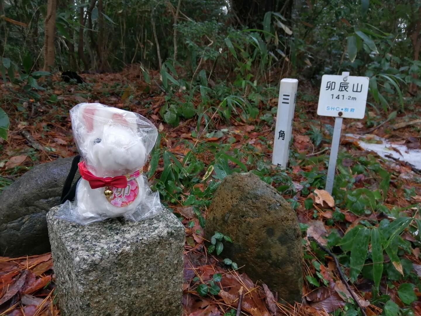 元旦に初登りは干支の卯辰山で登り始め / yamanobu さんの卯辰山の活動データ | YAMAP / ヤマップ