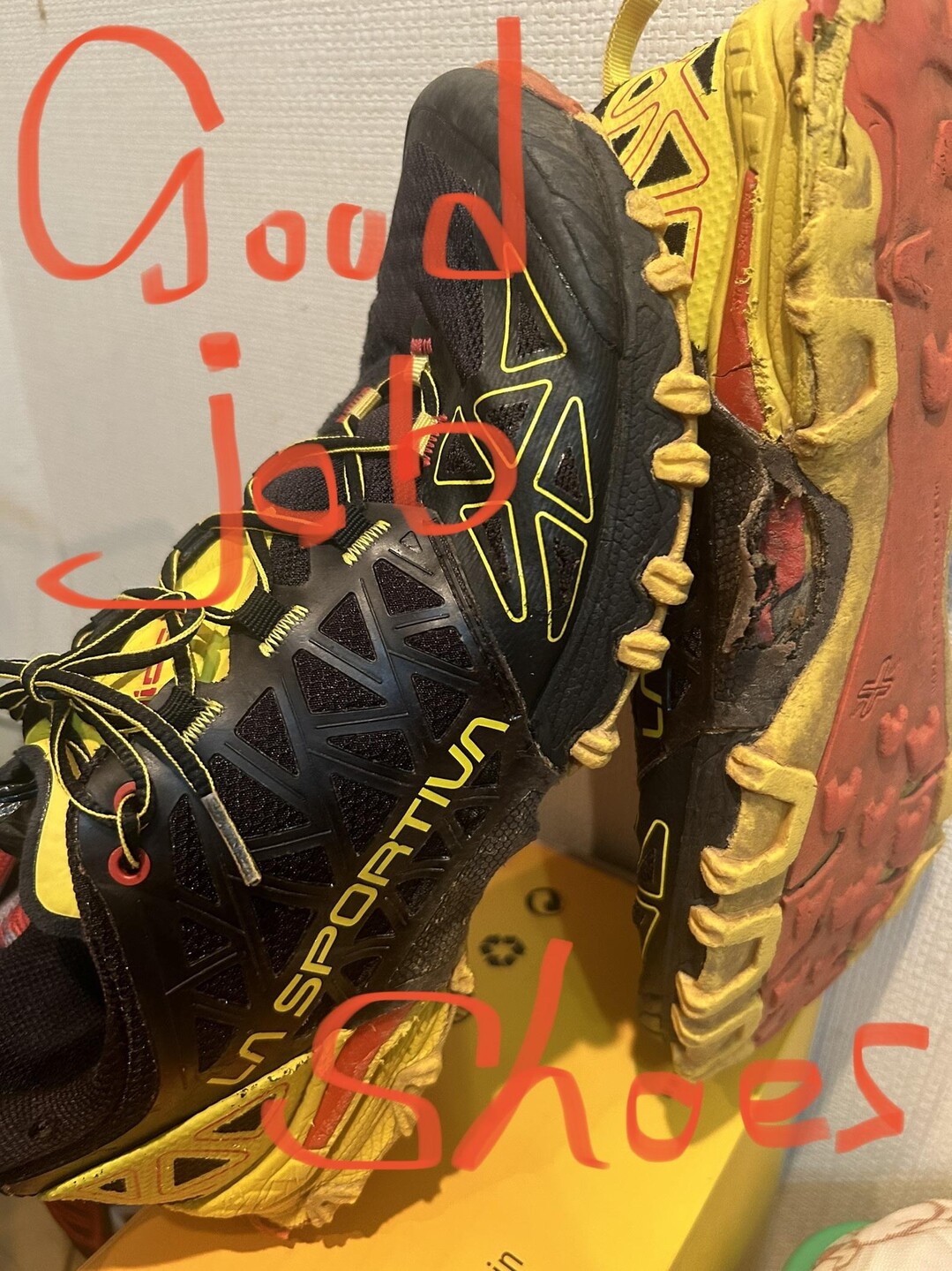 👟ブシドーIIのアウトソール摩耗にミッ... / こてつ＋さんのモーメント | YAMAP / ヤマップ