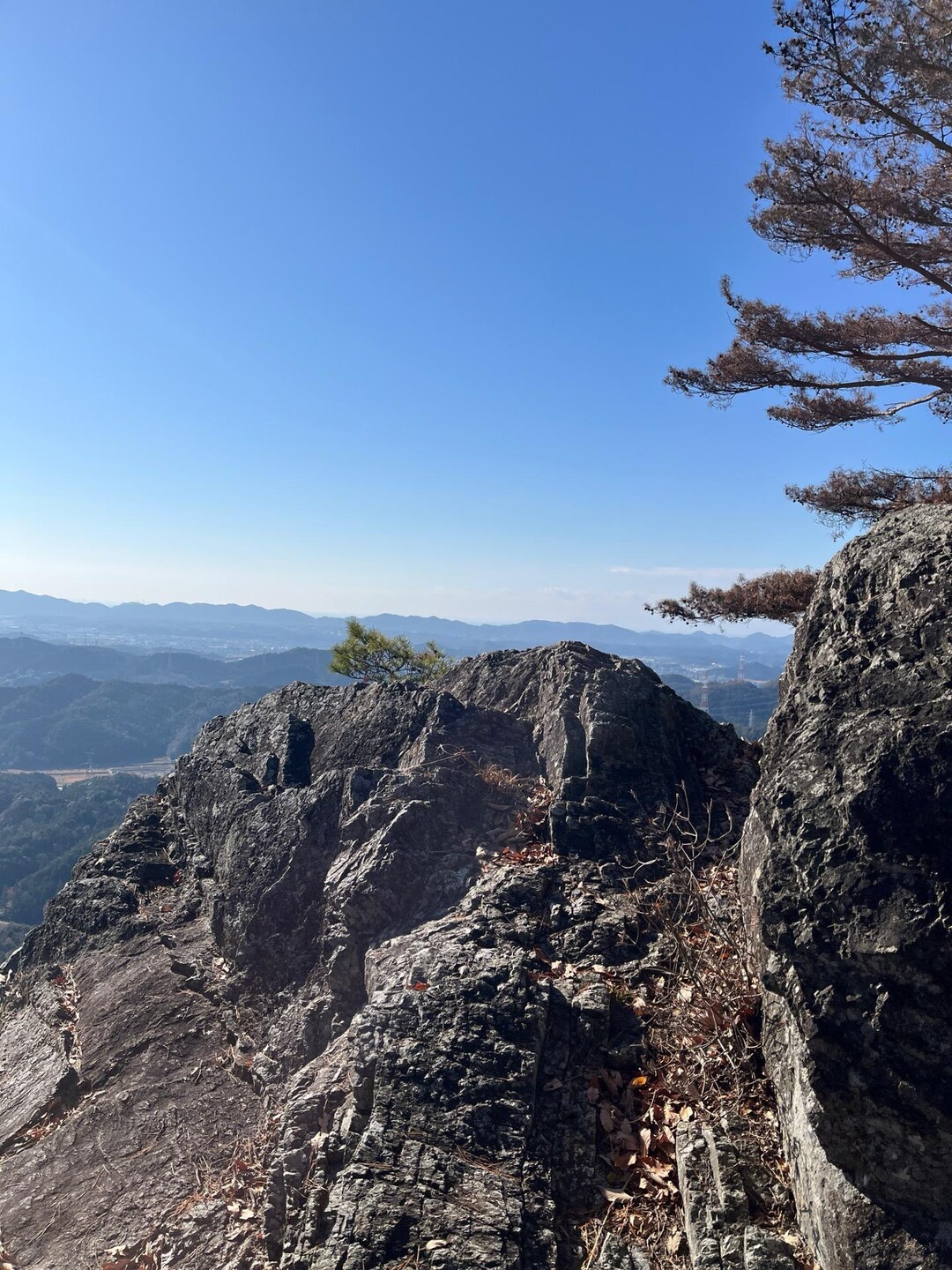 高沢山・大仏山・本城山 / hideki．Hさんの高沢山・平成山・高曝山の活動データ | YAMAP / ヤマップ