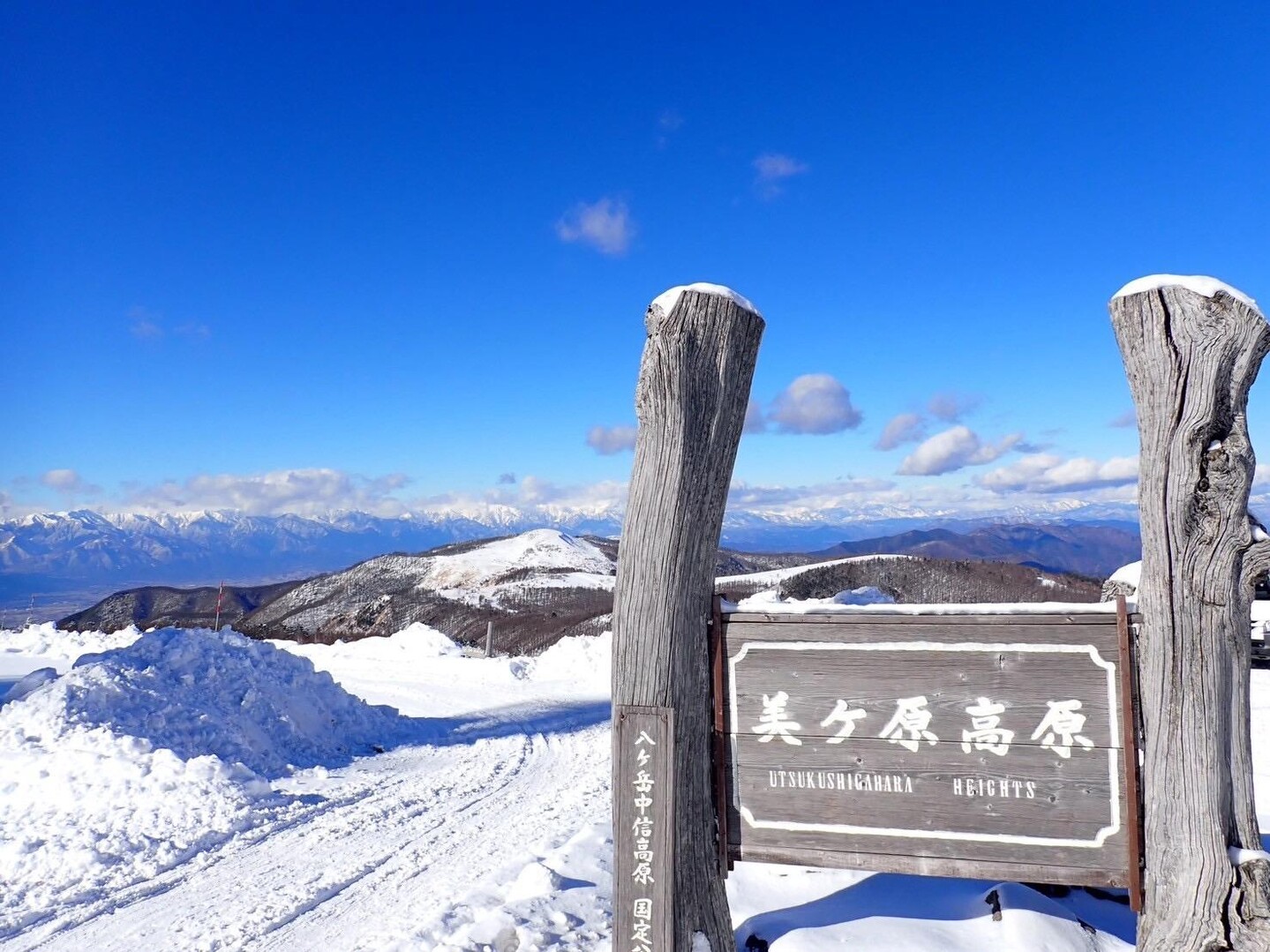 美ヶ原（王ヶ頭） / naniさんの美ヶ原の活動データ | YAMAP / ヤマップ