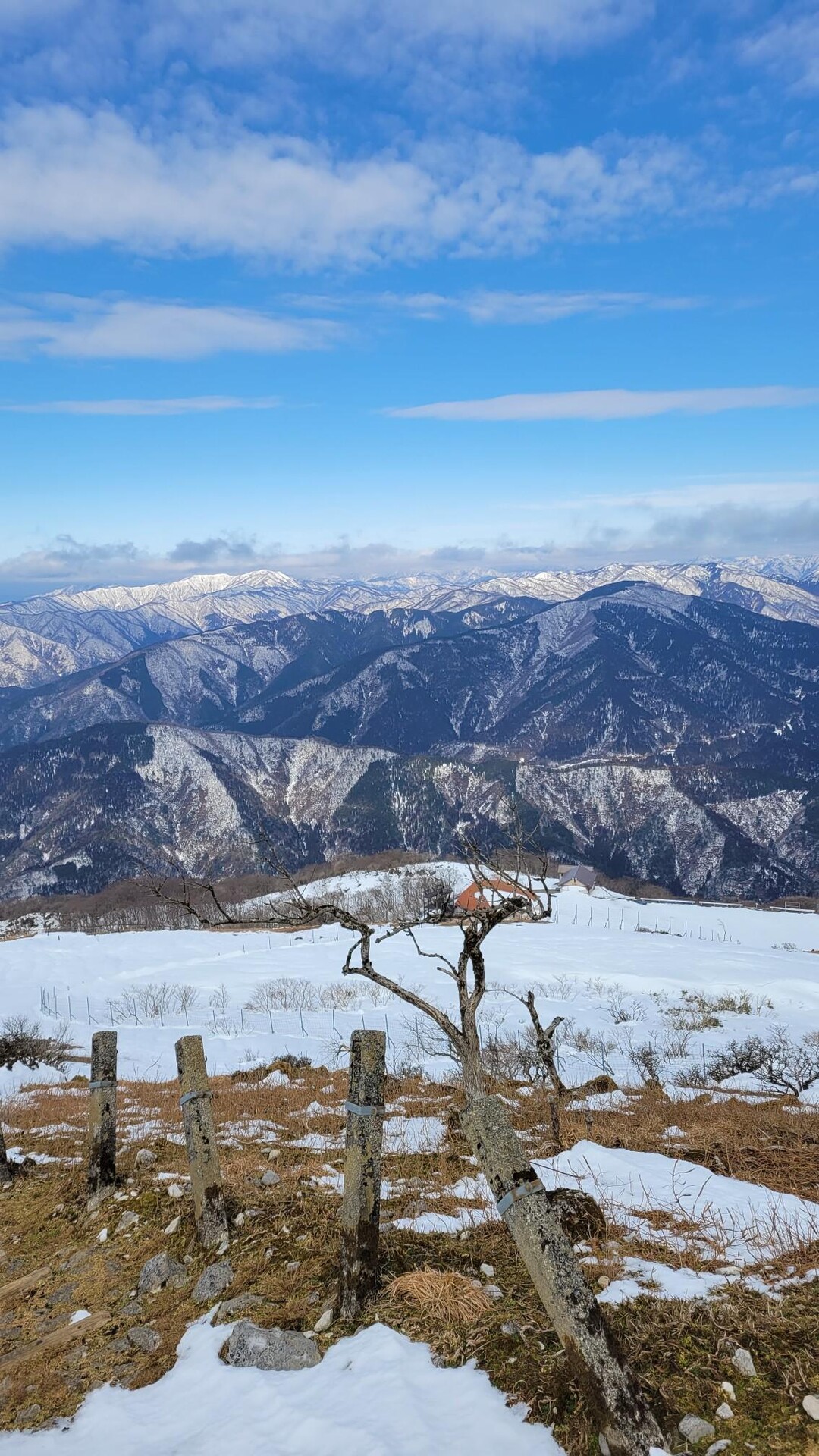 伊吹山 高所恐怖症再発 / おしんさんの伊吹山・伊吹高原・御座峰の活動データ | YAMAP / ヤマップ