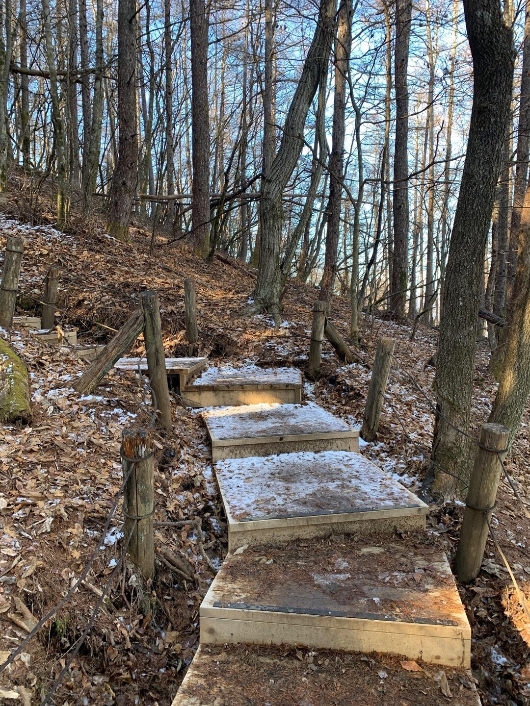 ぶんさんの投稿したフィールドメモ | YAMAP / ヤマップ