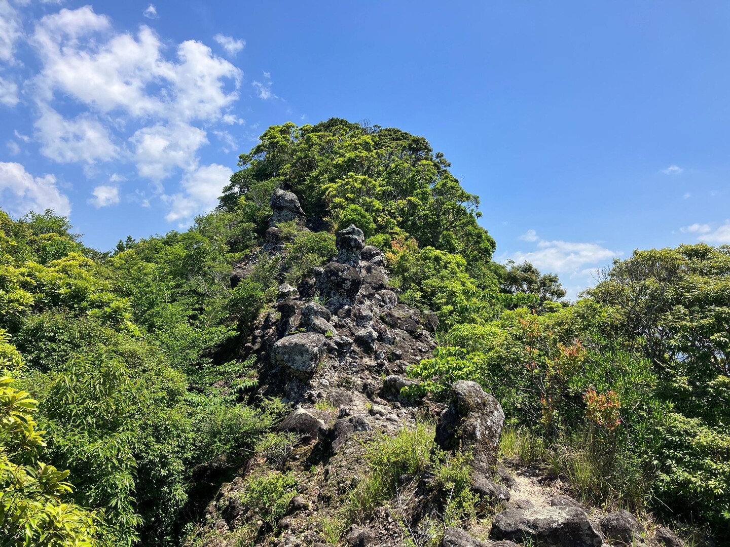 P325・中嶽・磯間嶽 / Ko-Zさんの磯間嶽の活動データ | YAMAP / ヤマップ