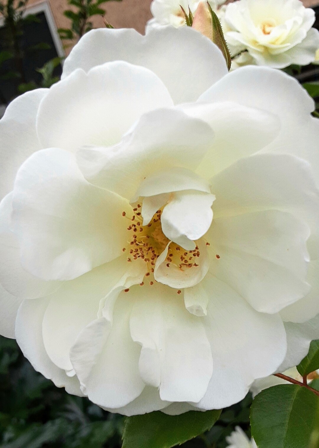 2021.05.07(金) 10:10 / SSMさんのモーメント | YAMAP / ヤマップ