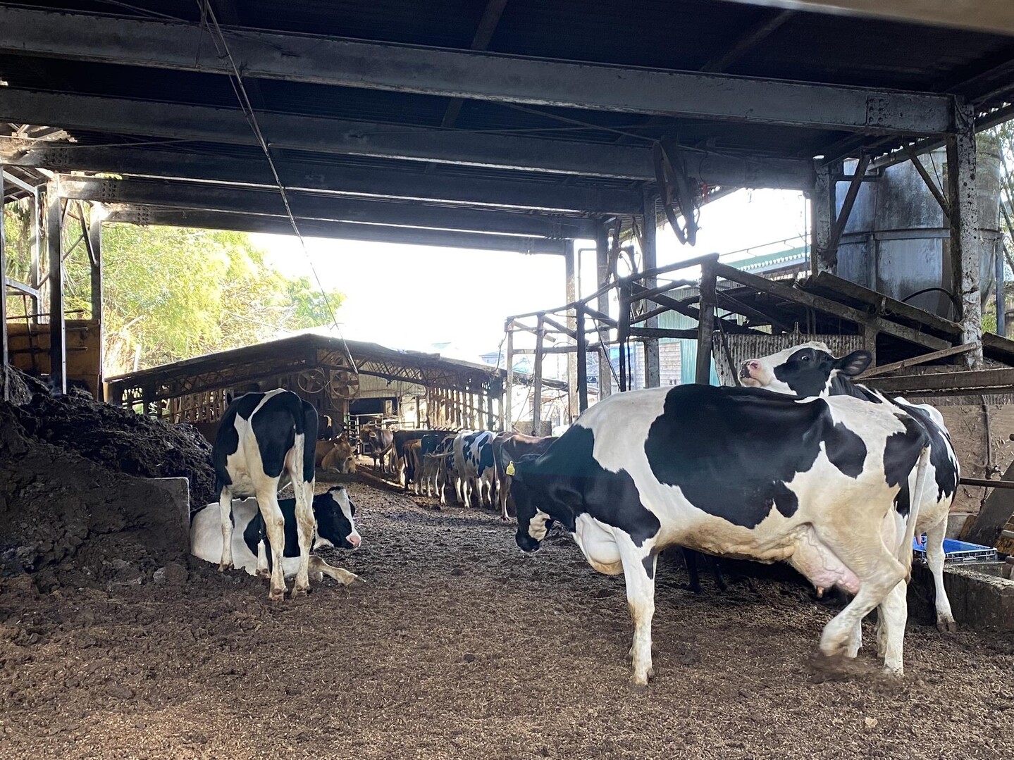 野を越え山越えお風呂屋さんへ行く / manmaruさんの八王子市の活動データ | YAMAP / ヤマップ