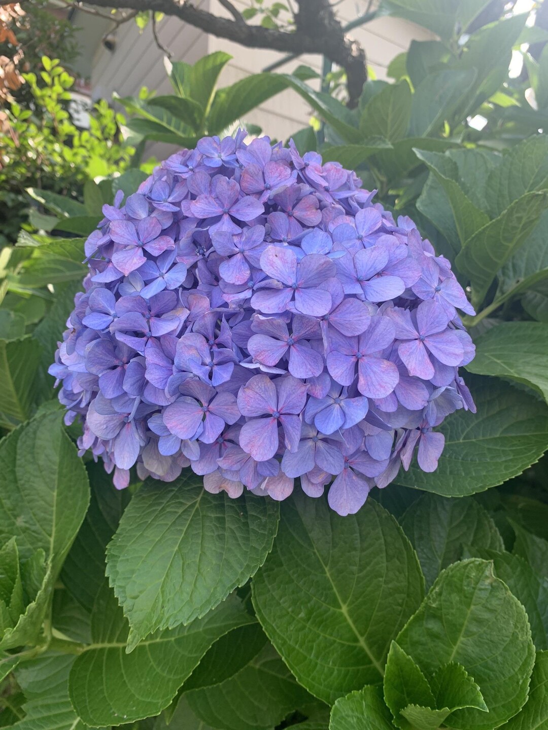 完全OFF👍 朝から好きな事しかしない... / ゆきちゃんさんのモーメント | YAMAP / ヤマップ