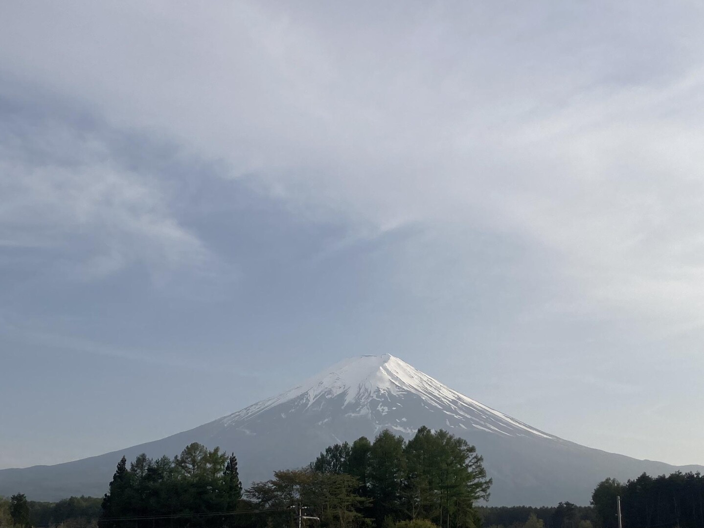 UTMF2023 KAI69 / shigさんの御正体山・杓子山・石割山の活動データ | YAMAP / ヤマップ