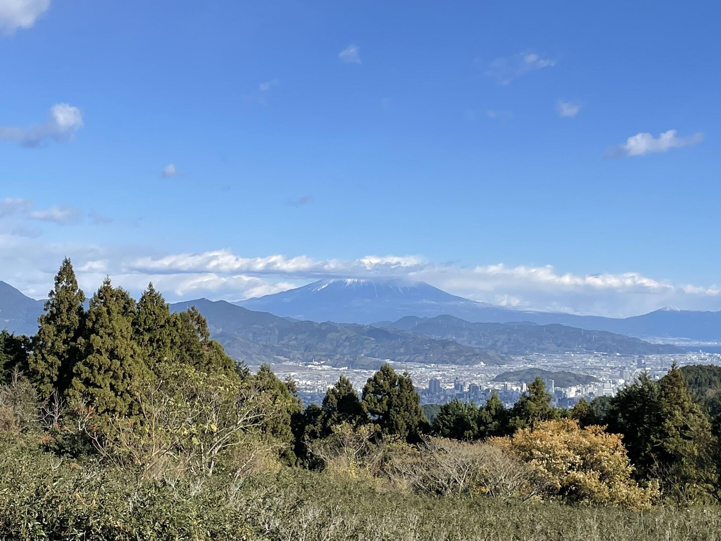 満観峰 / yy.taroさんの焼津アルプス（高草山・満観峰・花沢山）・徳願寺山の活動データ | YAMAP / ヤマップ