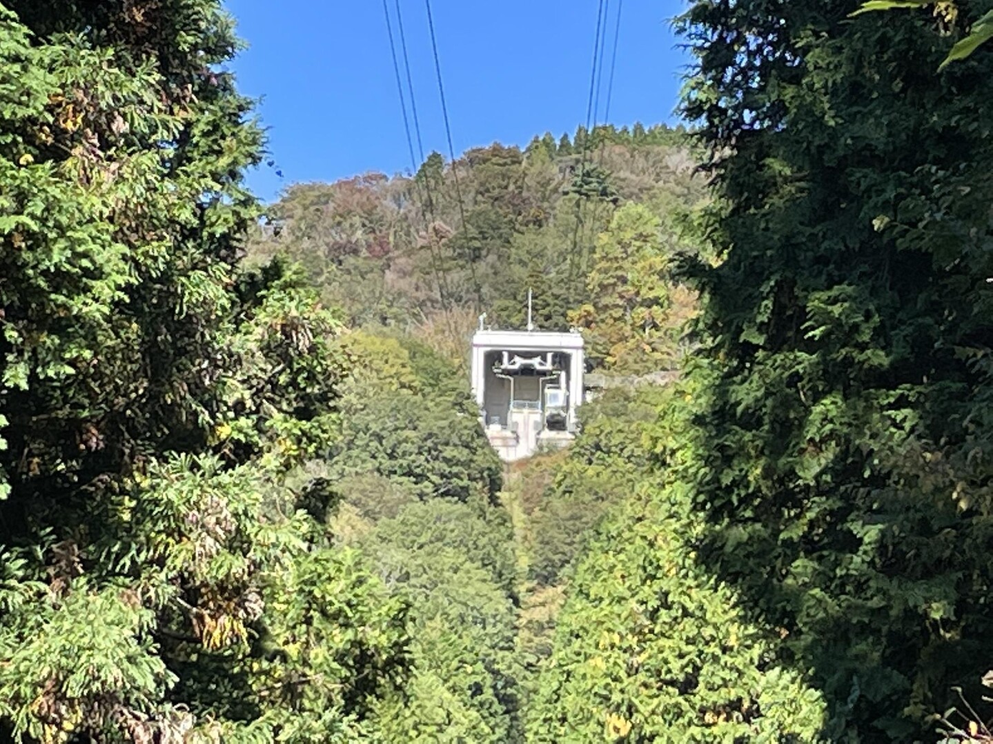 115回目の金剛山 香楠荘尾根⤴️文殊中尾根⤵️ / KOH-Z(オッサン釣り倶楽部)さんの金剛山・二上山・大和葛城山の活動データ | YAMAP / ヤマップ