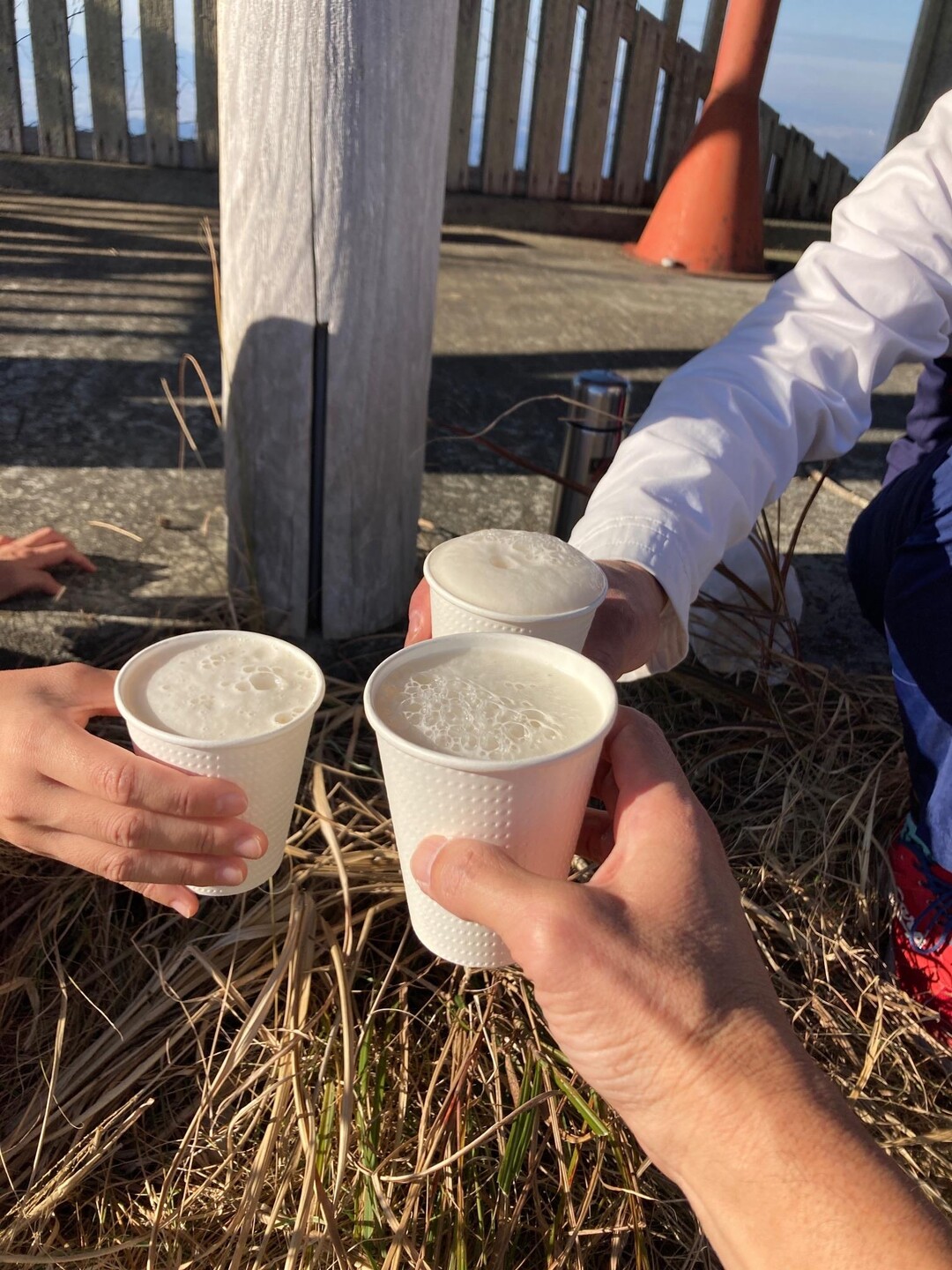 矢山岳（再び…） / IMATさんの大行寺山の活動日記 | YAMAP / ヤマップ