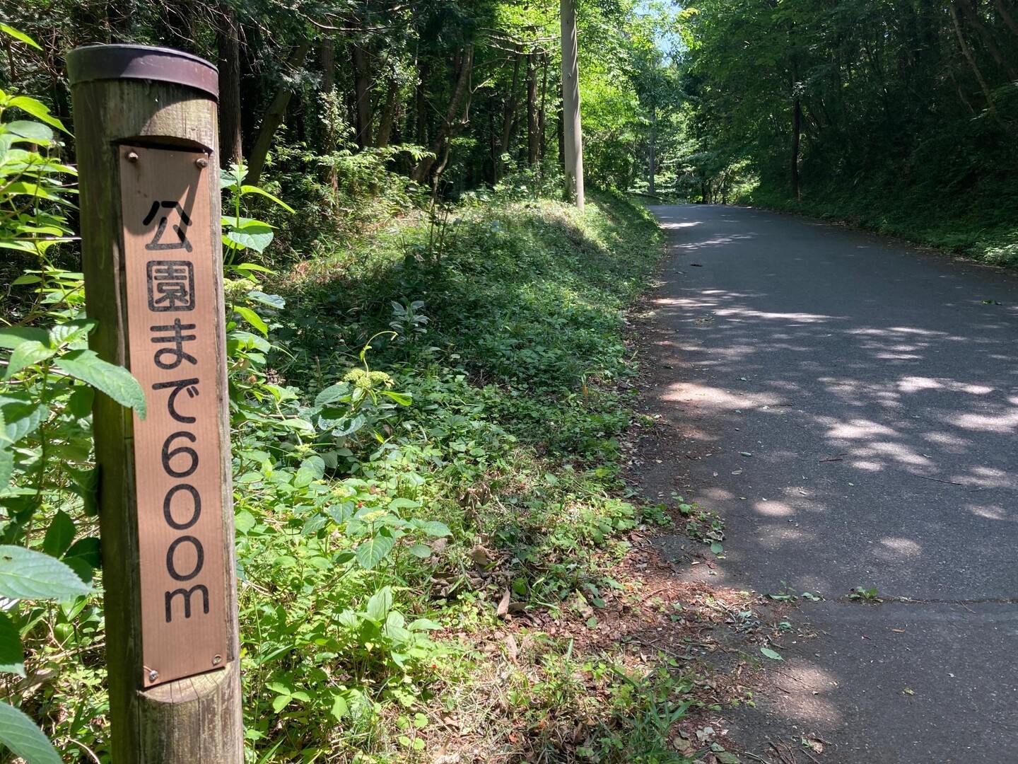 「推しの子」ラン2 / taoさんの武蔵嵐山・大平山・仙元山の活動データ | YAMAP / ヤマップ
