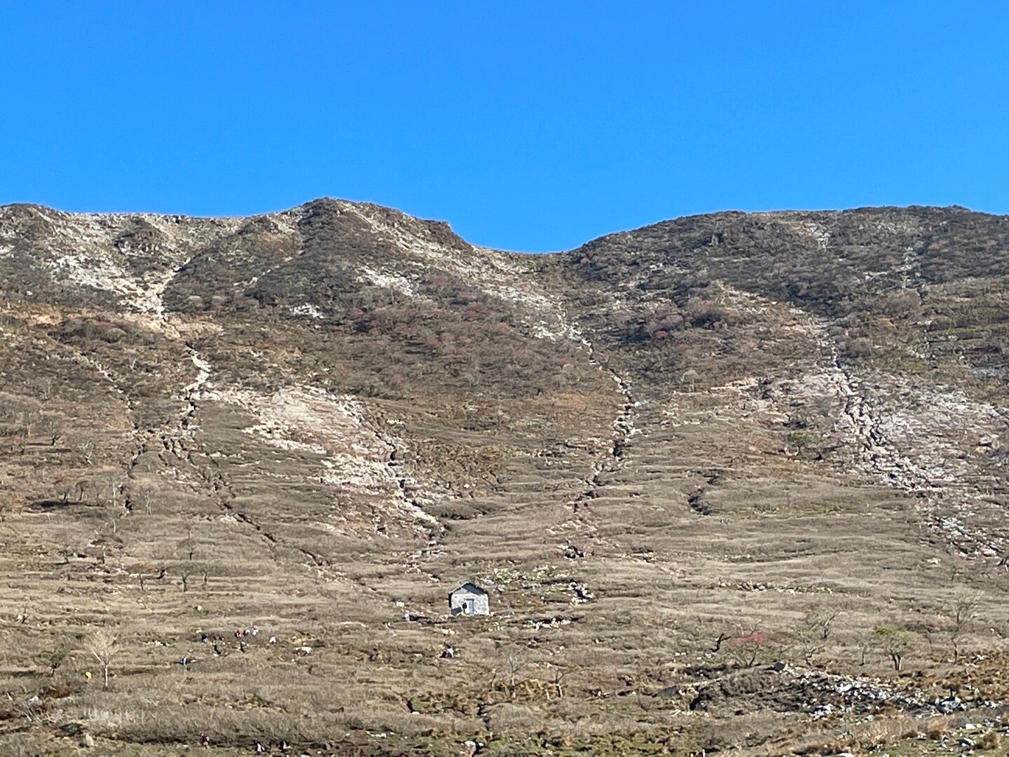 徳蔵山・伊吹山 / じろさんさんの伊吹山・伊吹高原・御座峰の活動データ | YAMAP / ヤマップ