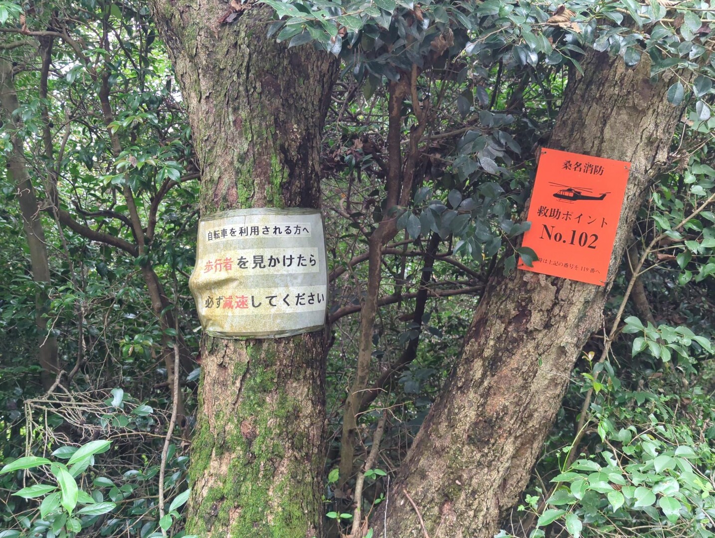 solaさんの投稿したフィールドメモ | YAMAP / ヤマップ