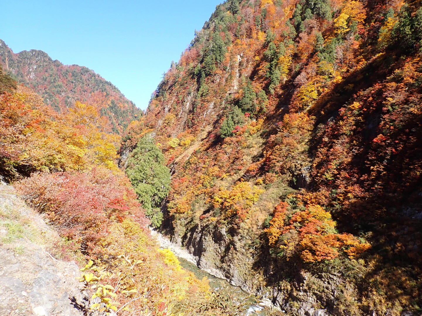 黒部川・下の廊下～タイミング良く紅葉roadを歩きました / robin又の名をSantaさんの剱岳の活動データ | YAMAP / ヤマップ