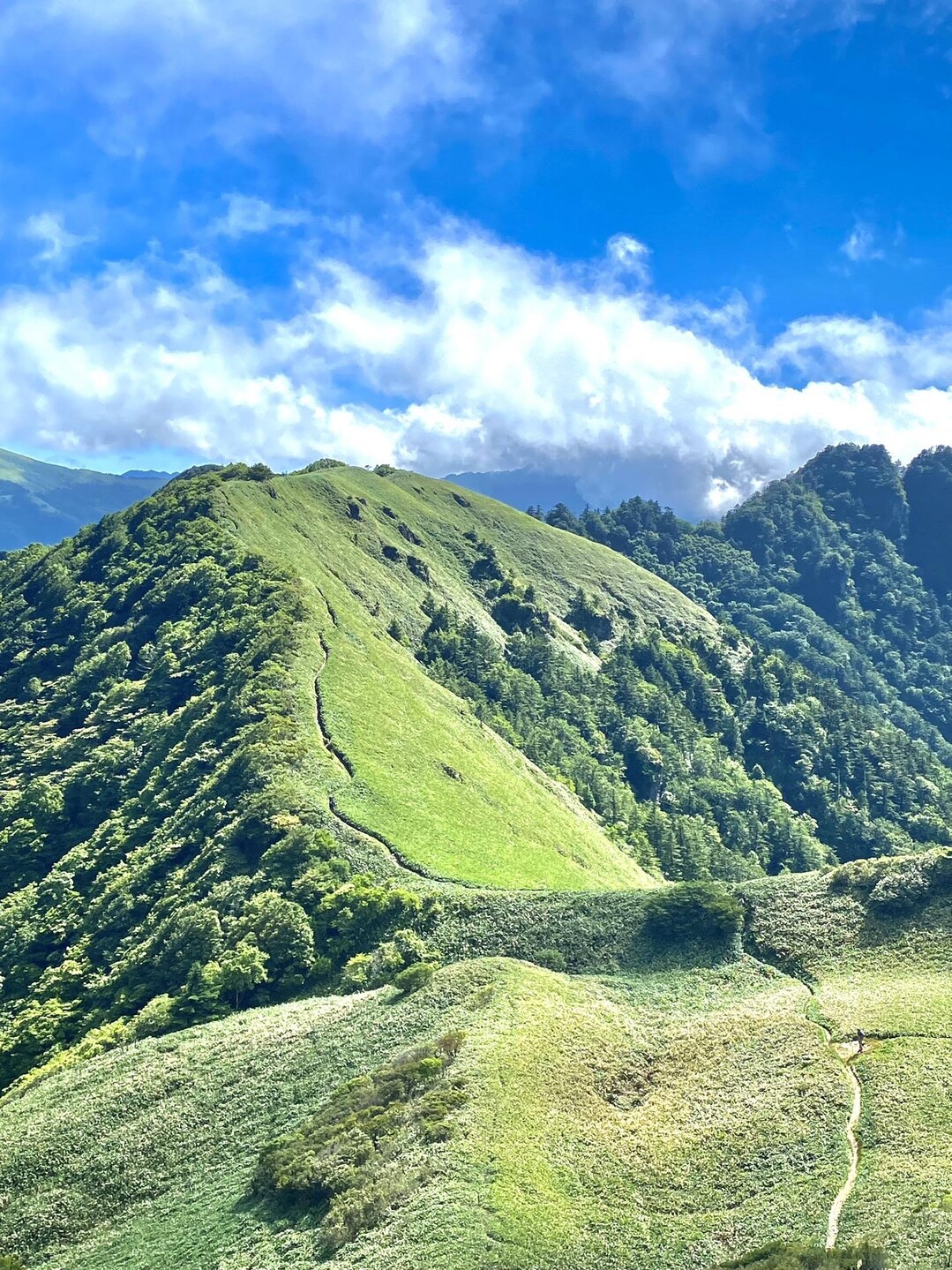 伊予富士・東黒森・自念子ノ頭 / miryuさんの瓶ヶ森・伊予富士の活動日記 | YAMAP / ヤマップ