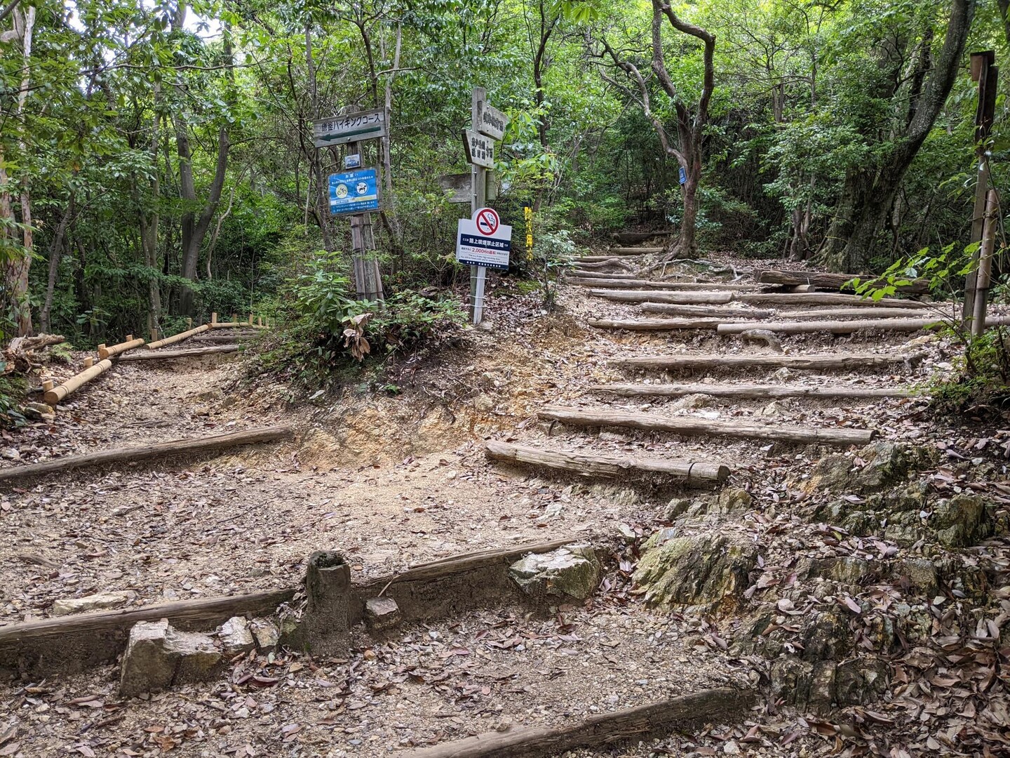 また金華山 / nobu2🦩さんの金華山・洞山・舟伏山の活動データ | YAMAP / ヤマップ