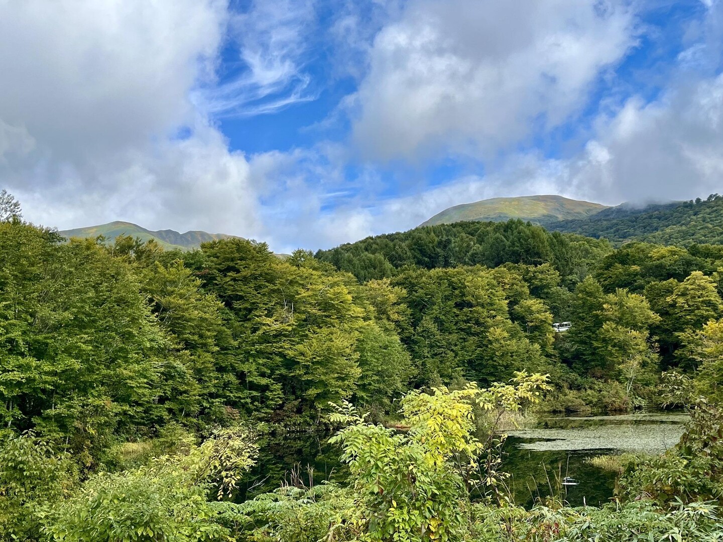 月山ネイチャーセンター自然観察路🚶‍♀️🚶 湯殿山詣り⛩️ / w823hさんの月山の活動日記 | YAMAP / ヤマップ