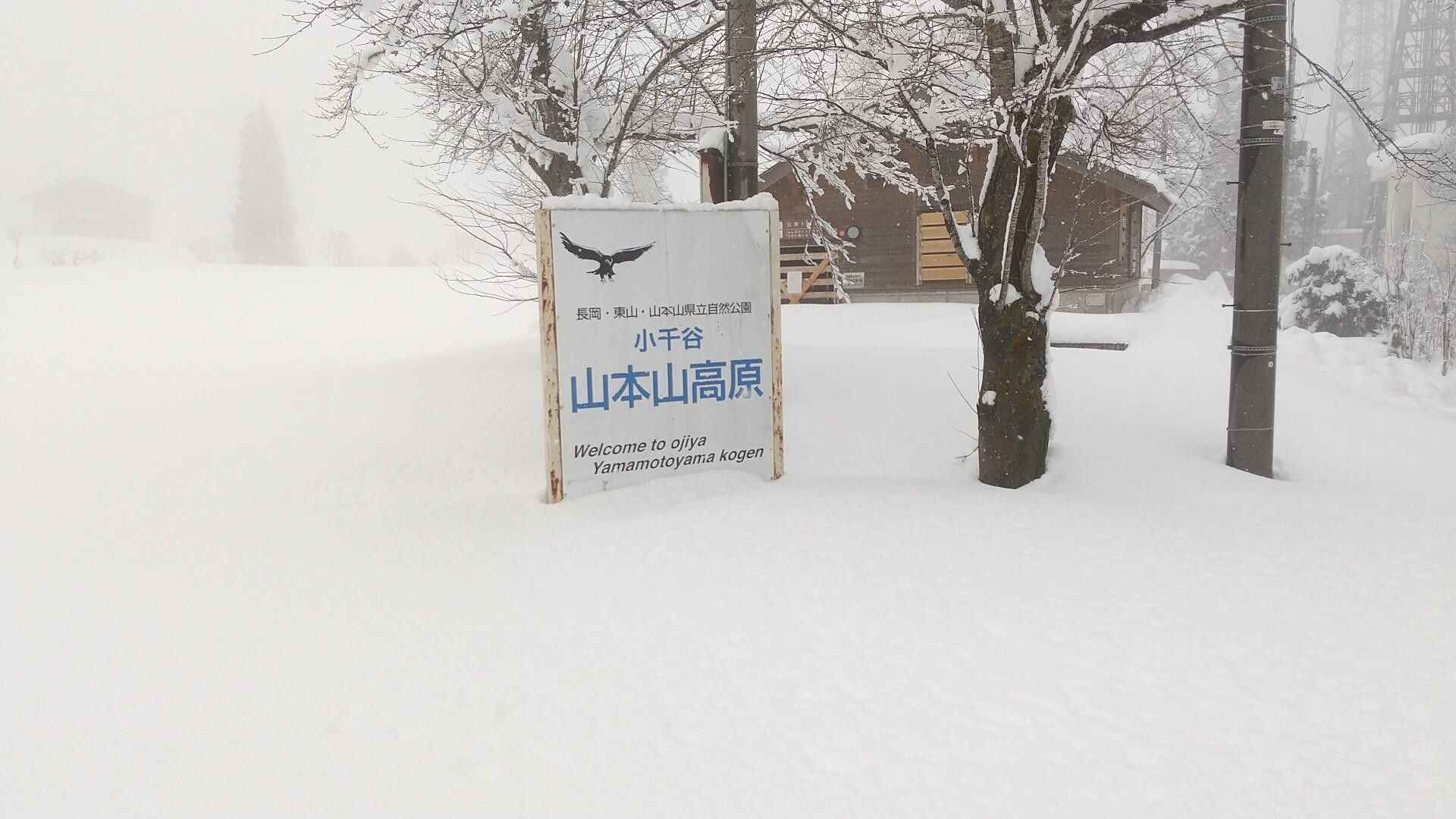 山本山 / junk-landさんの山本山の活動日記 | YAMAP / ヤマップ