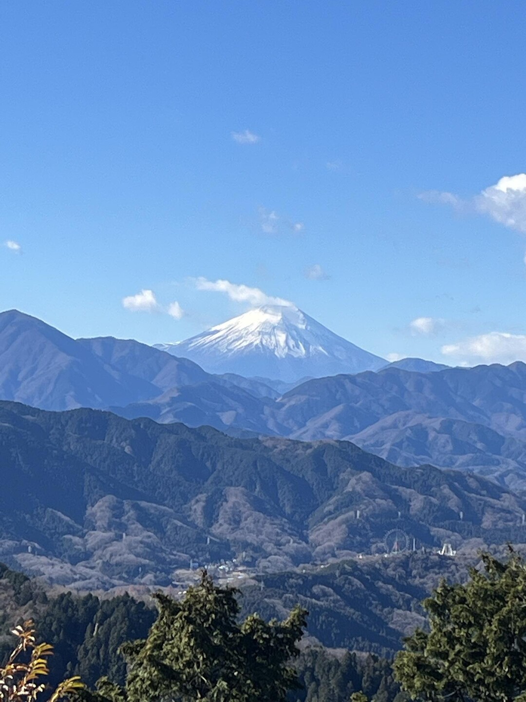 稲荷山・高尾山〜いろはの森 / kaoさんの高尾山・陣馬山・景信山の活動データ | YAMAP / ヤマップ