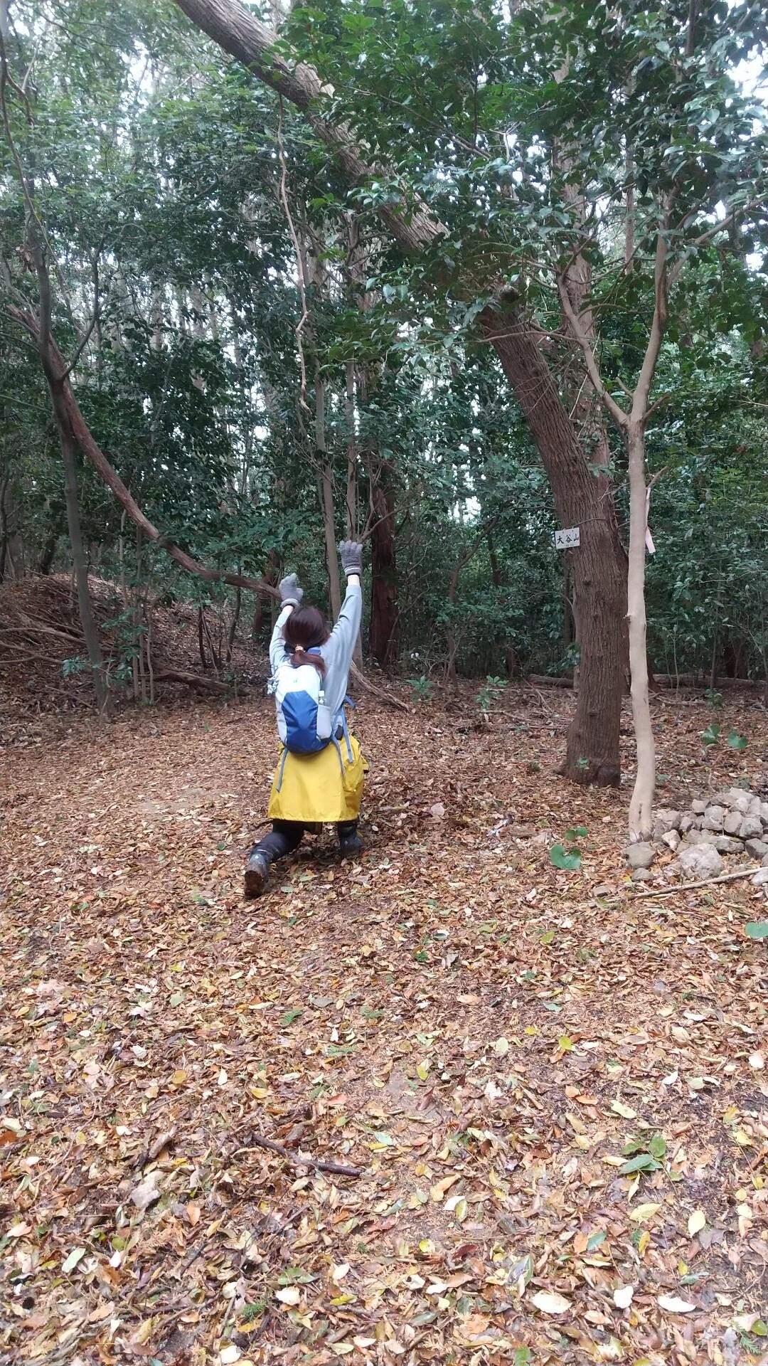 グレークリスマス(GA~) / モコさんの新立山（権現山）・城ヶ浦山・大平山の活動データ | YAMAP / ヤマップ