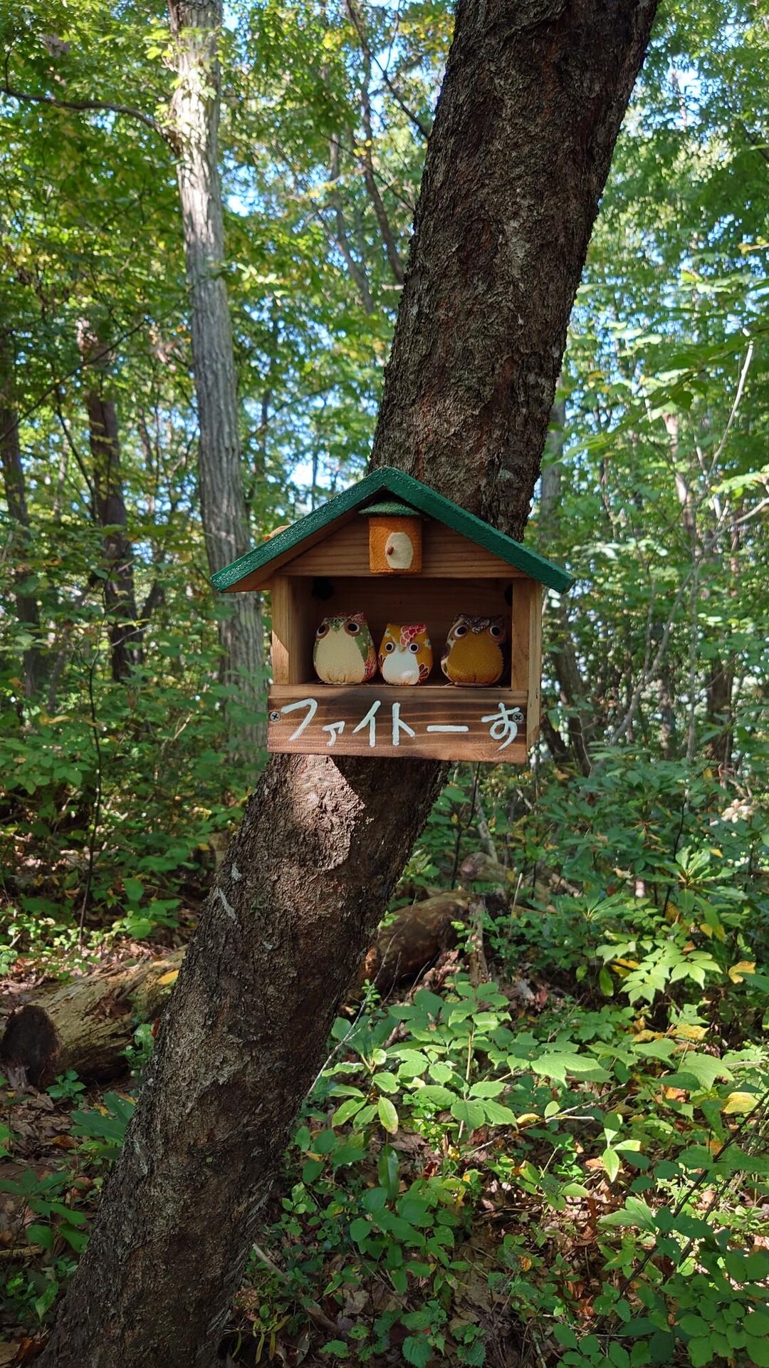 再び 小菰石山・大岡山 / rukyさんの大岡山・小菰石山の活動データ | YAMAP / ヤマップ