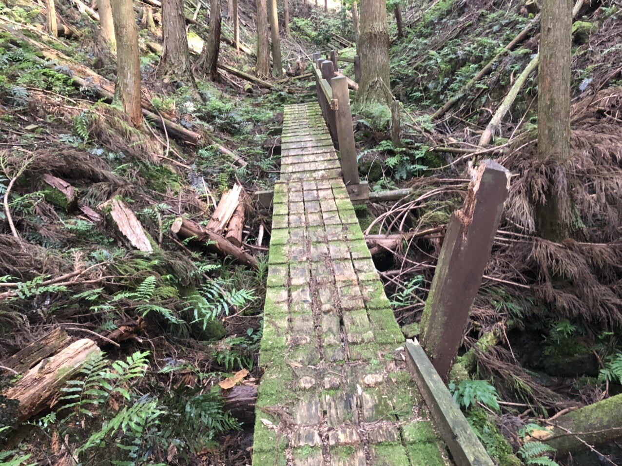 菩提山 / osamさんの菩提山・明神山の活動データ | YAMAP / ヤマップ