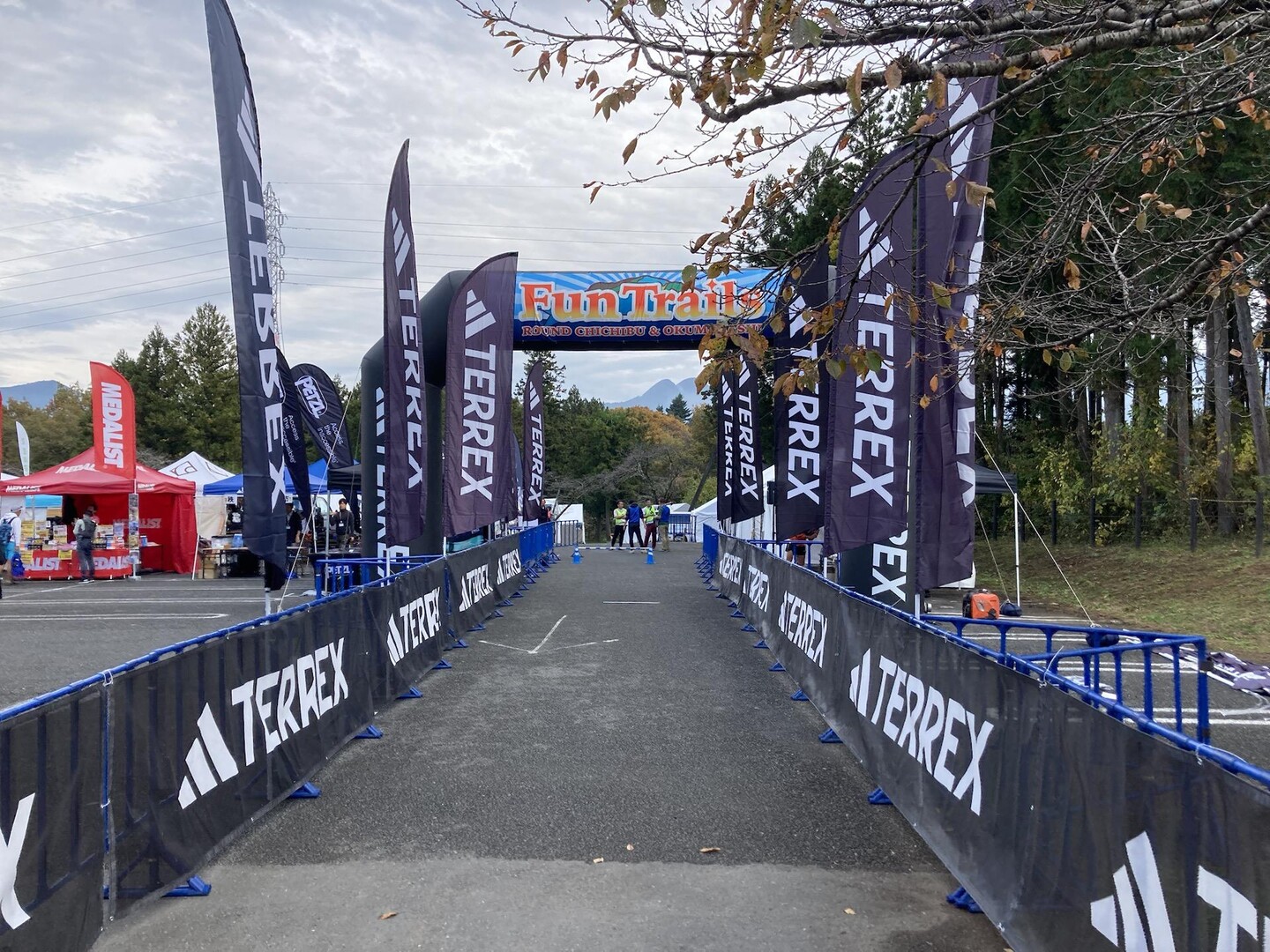 FTR100k / かいちょーさんのハセツネCUP・日本山岳耐久レース（71.5kmコース）の活動データ | YAMAP / ヤマップ